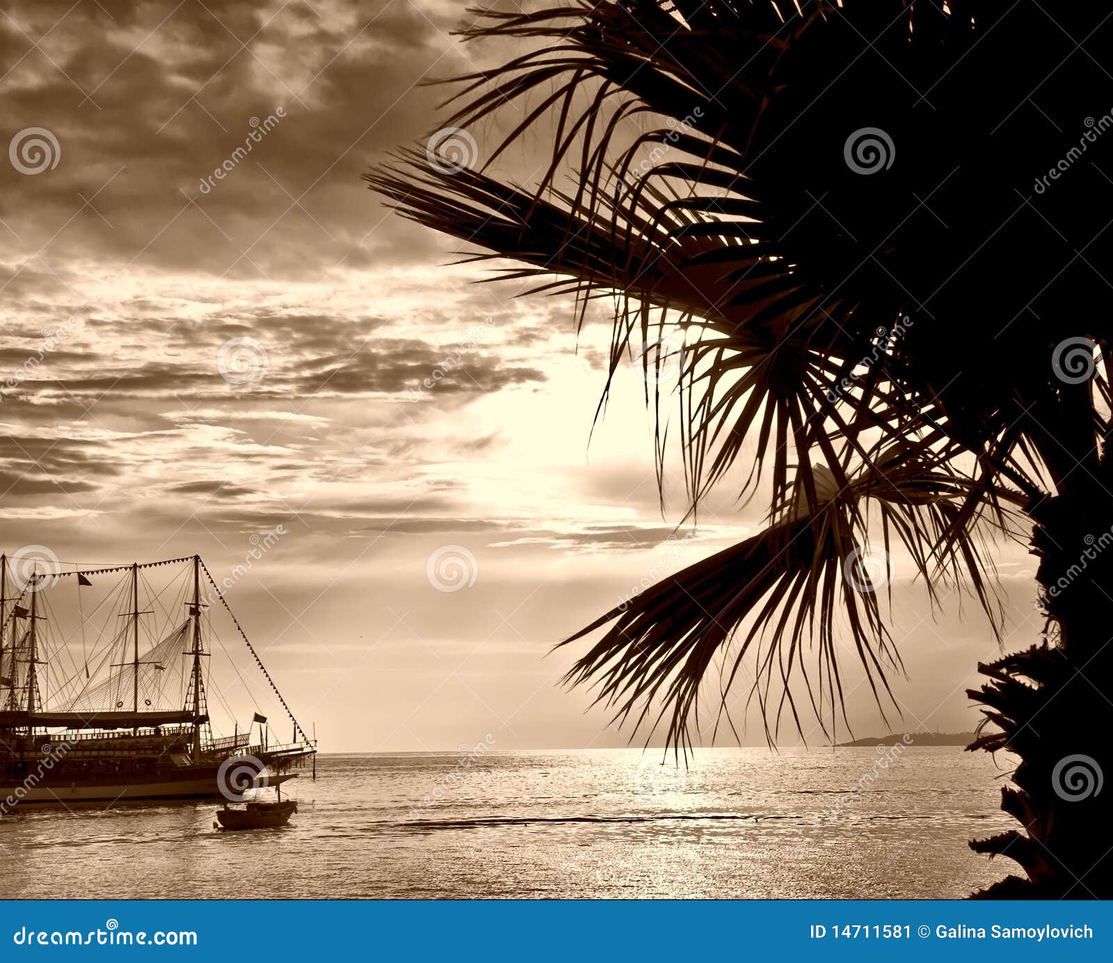 Tropical sunset in sepia. stock image. Image of palm - 14711581