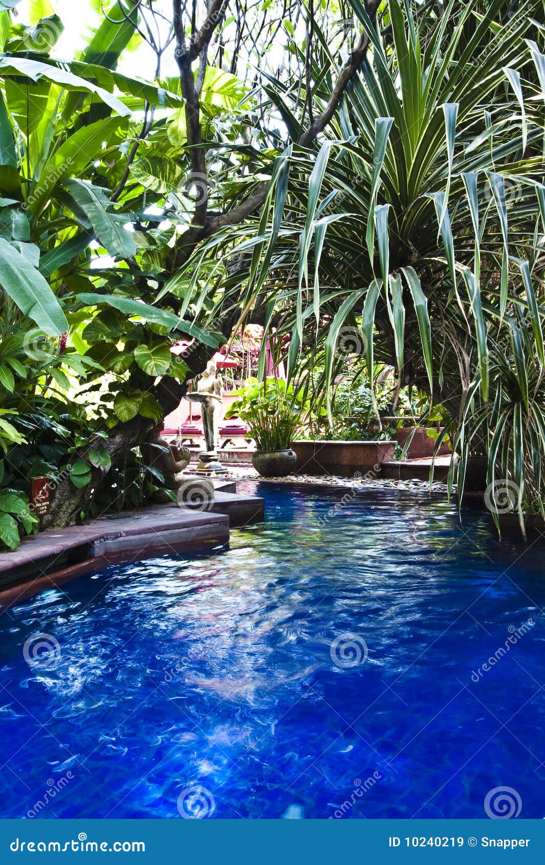 Tropical swimming pool stock image. Image of bali, greenery - 10240219