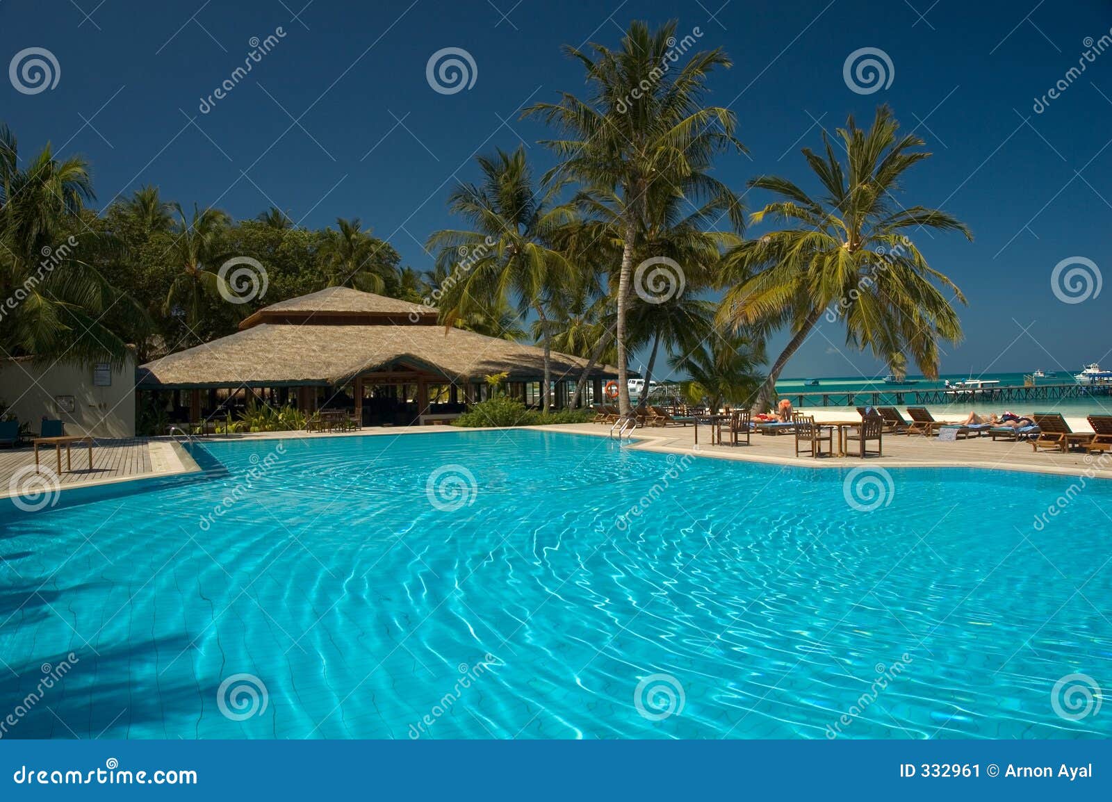 Tropical swimming pool stock image. Image of maldive, atoll - 332961
