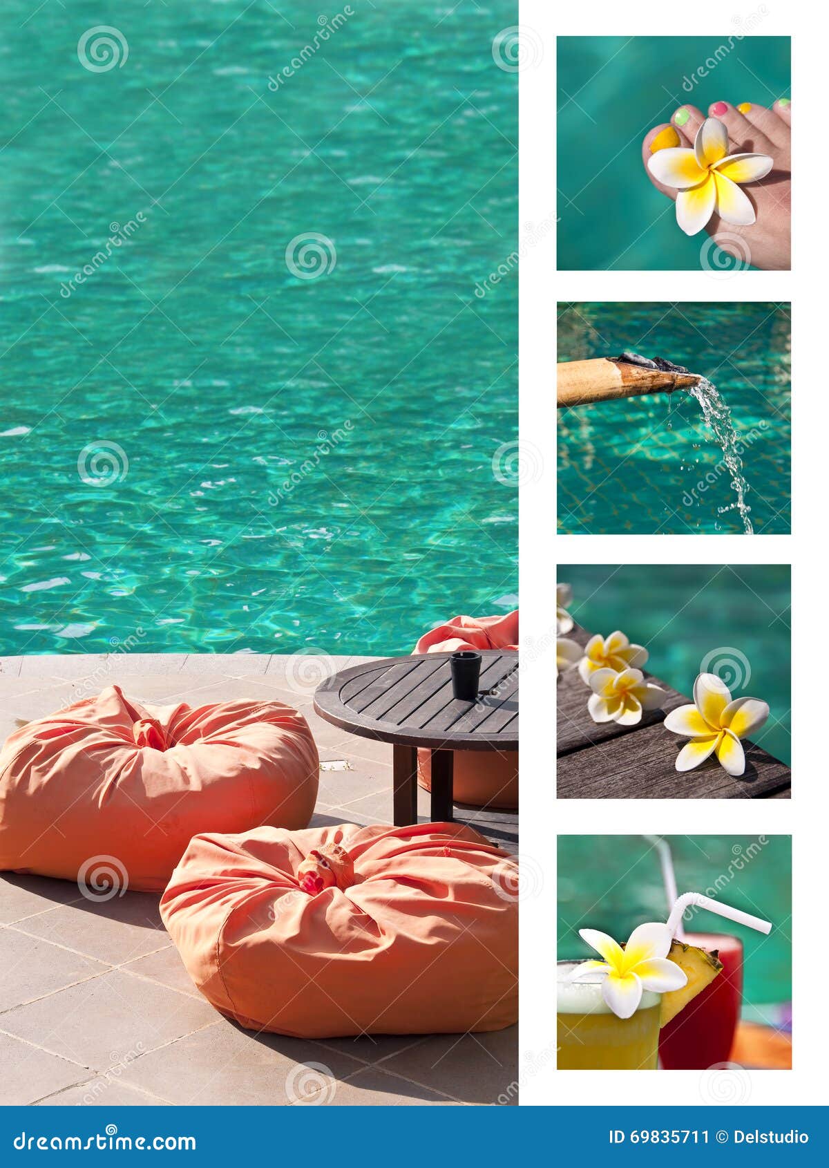 Tropical swimming pool stock image. Image of plumeria - 69835711