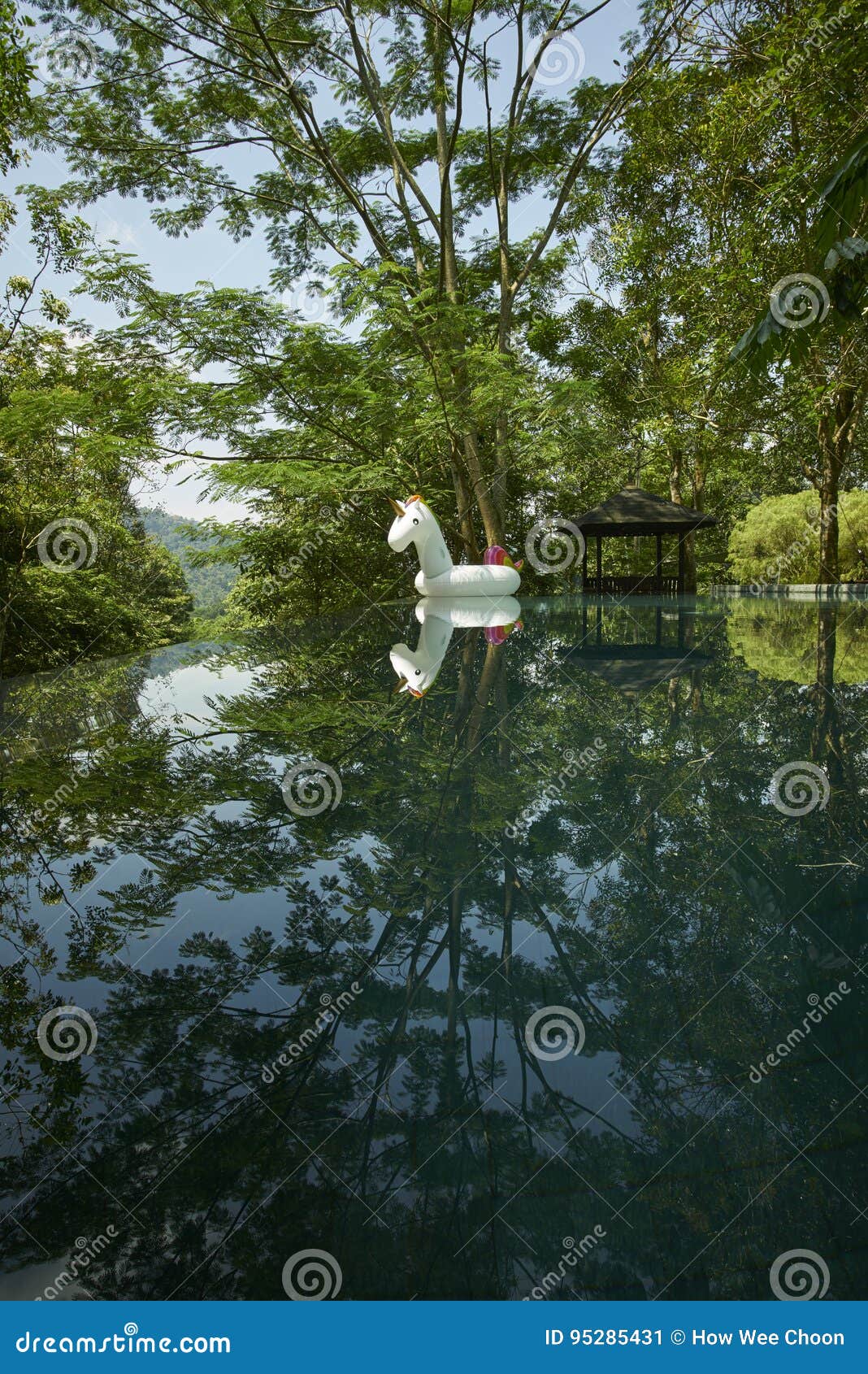 Tropical Swimming Pool with Reflection Stock Image - Image of ...