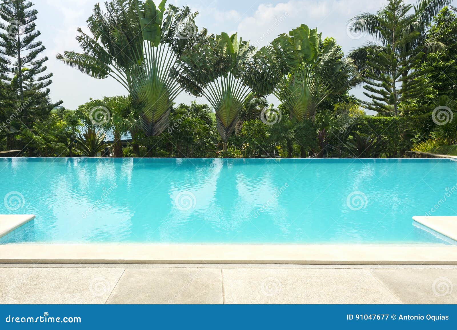 Tropical Swimming Pool stock image. Image of relax, exterior - 91047677