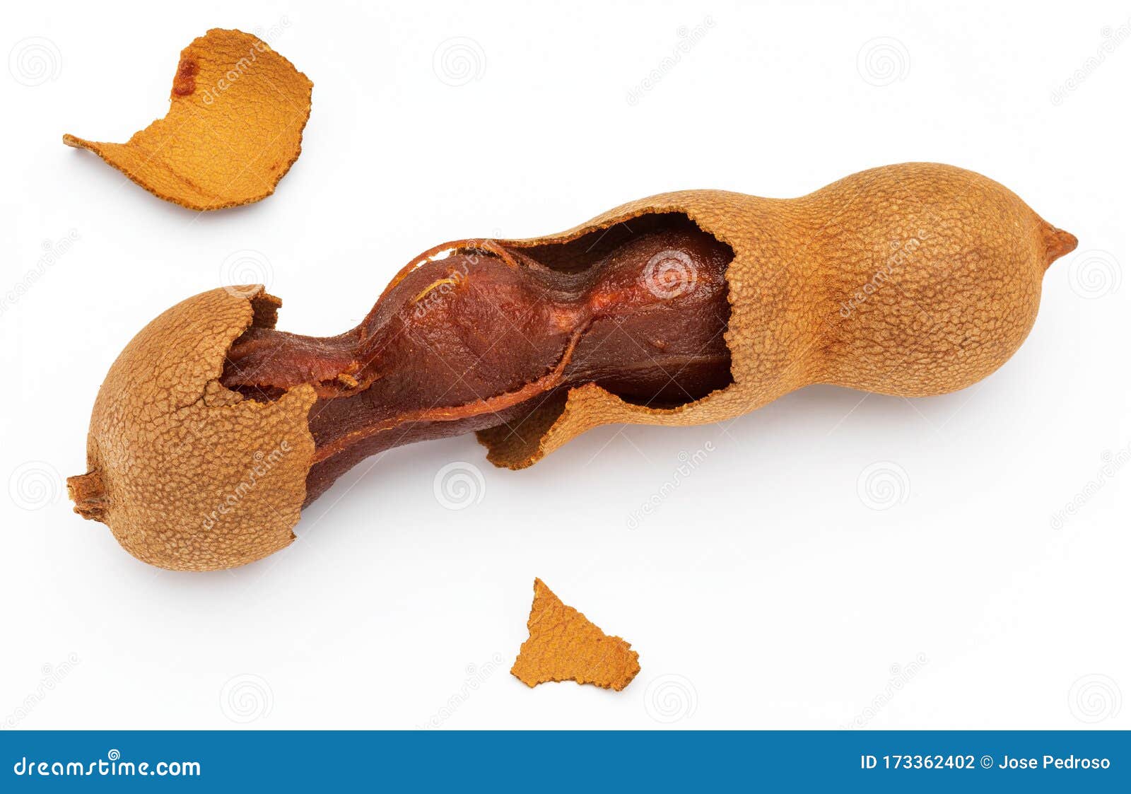 Tropical Tamarind Fruit. with Shell, with Visible Seeds and Inner Pulp ...