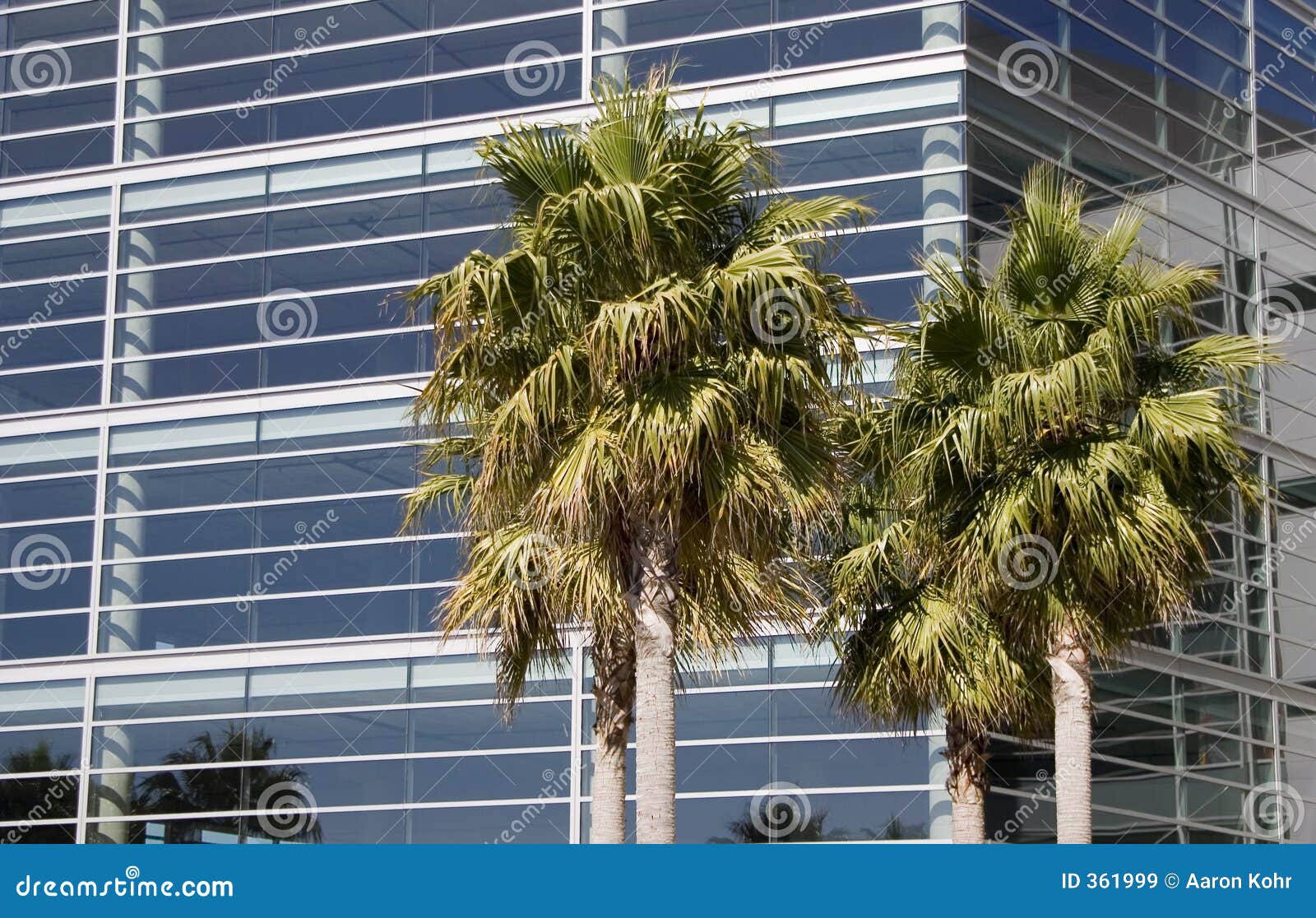 Tropical Tech 1 stock image. Image of building, company - 361999