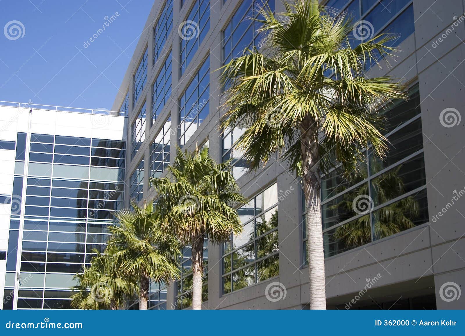 Tropical Tech 2 stock photo. Image of simple, startup, realestate - 362000