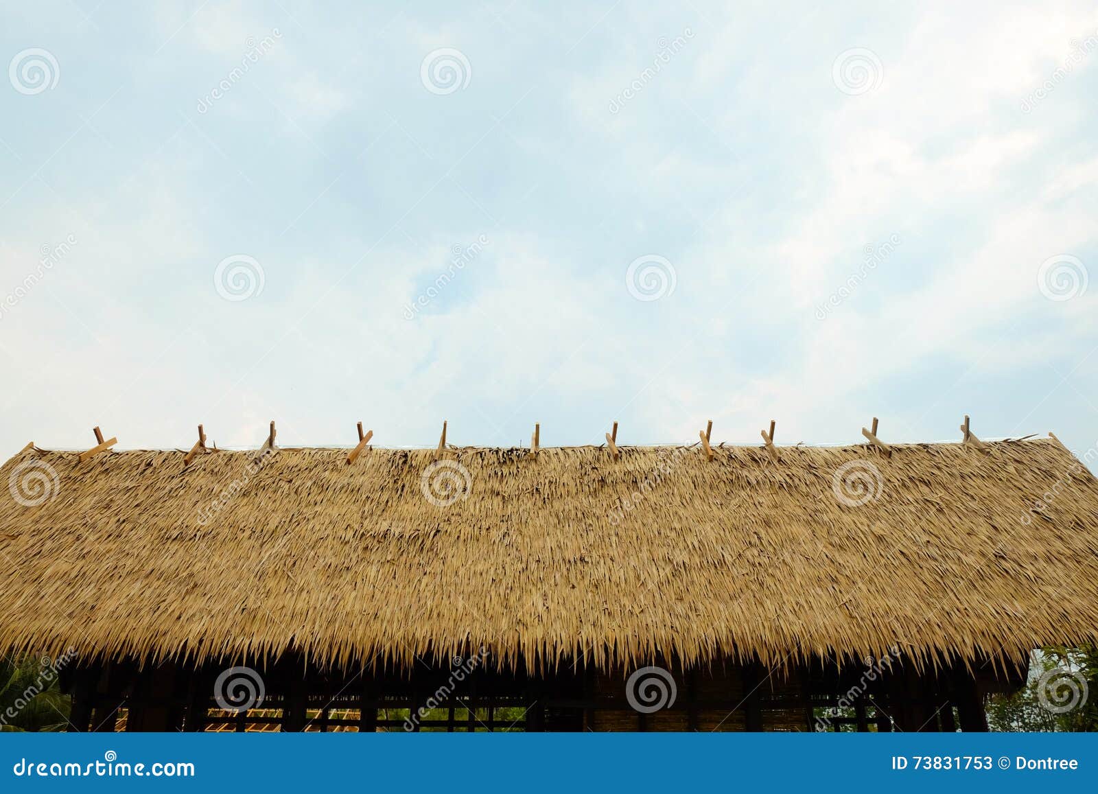 Tropical thatched roof stock image. Image of tribe, design - 73831753