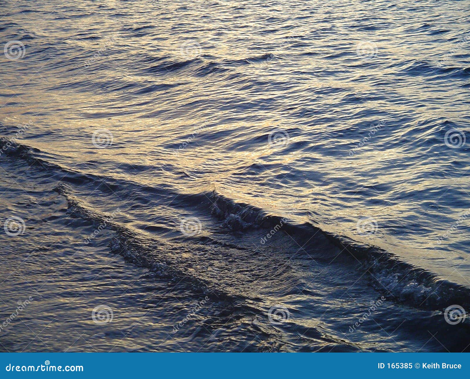 Tropical Tide stock image. Image of liquid, ocean, blue - 165385