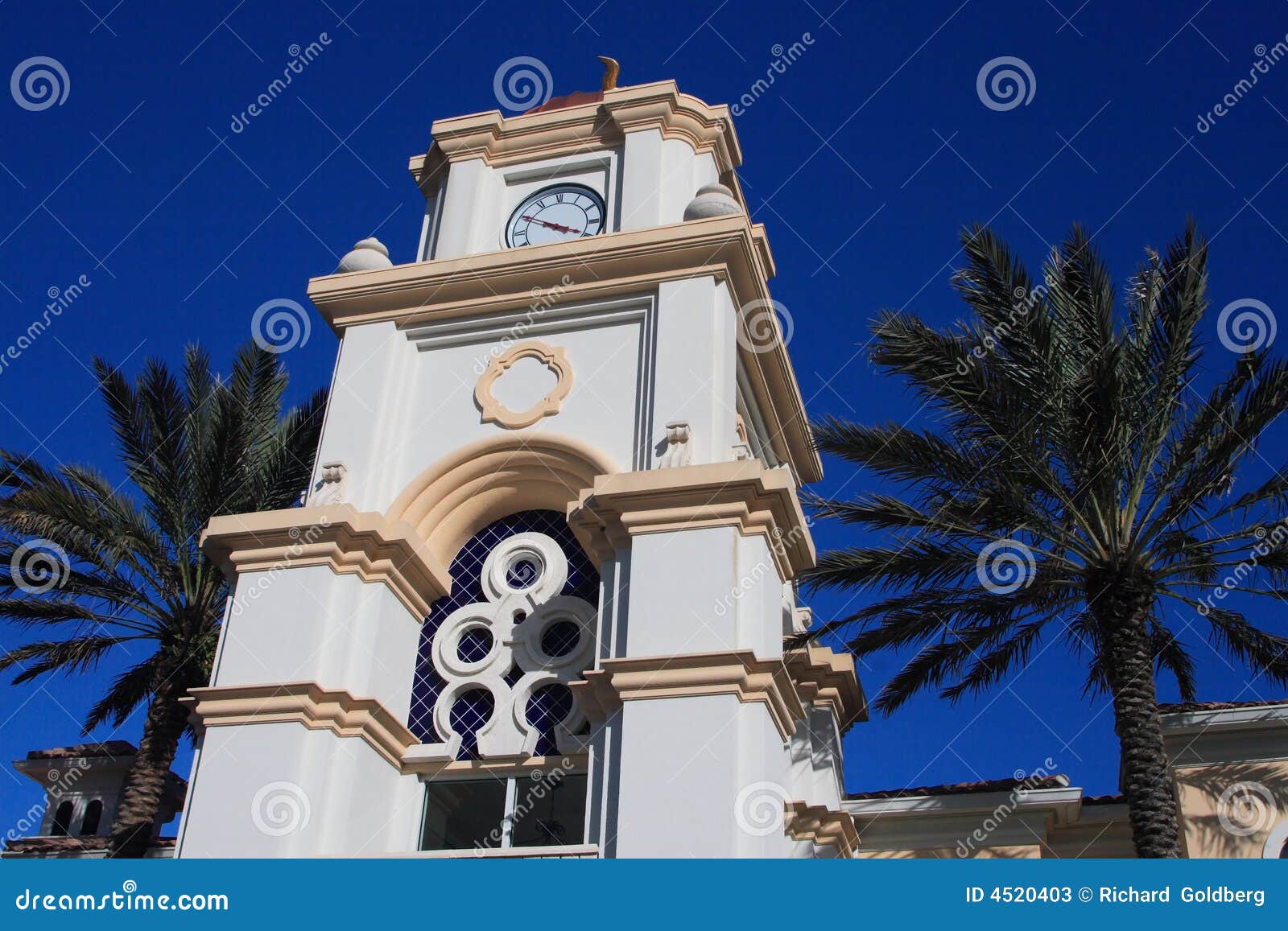 Tropical Tower stock image. Image of palm, tower, accommodation - 4520403