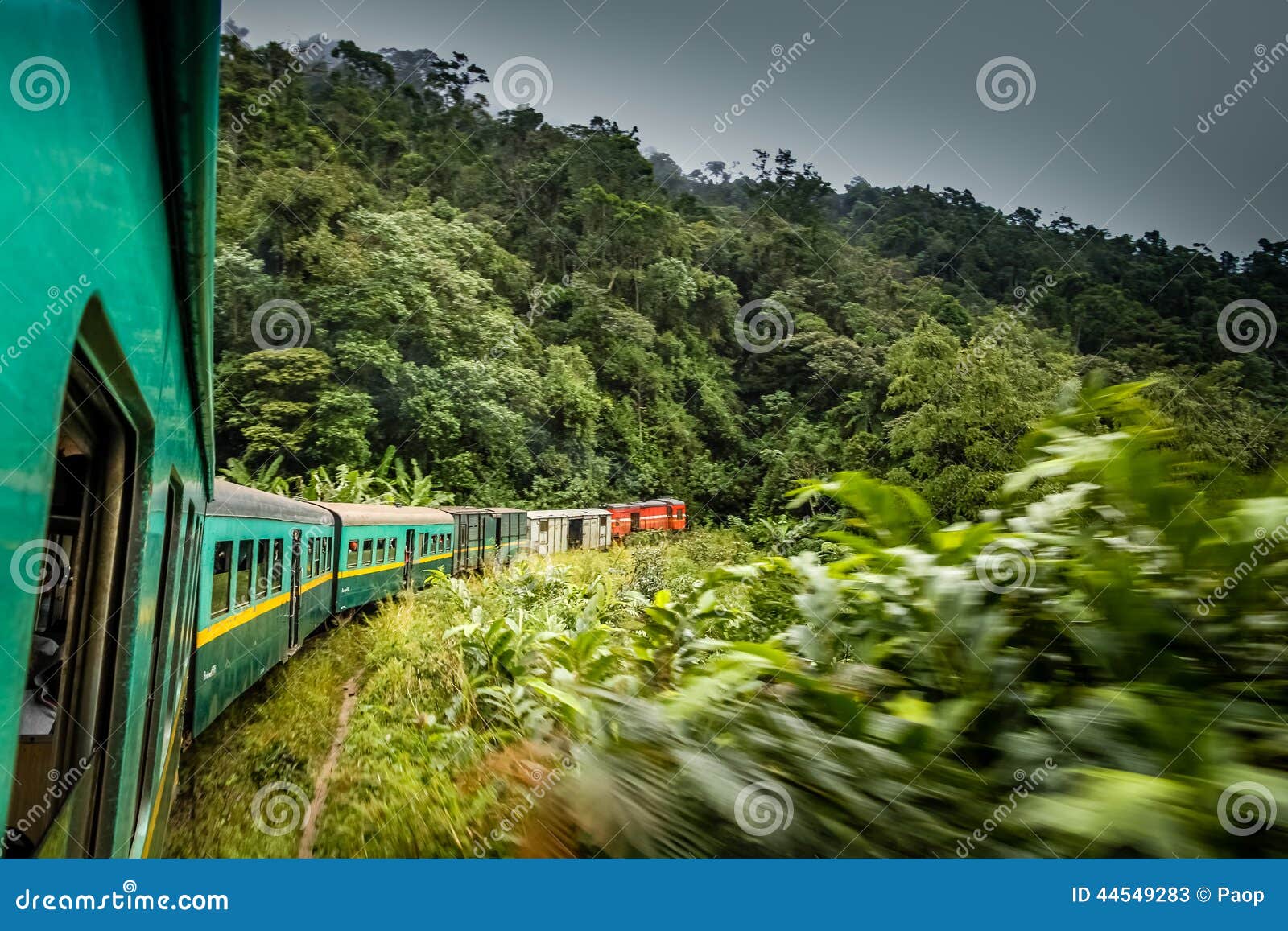Madagascar Rail Stock Photos - Free & Royalty-Free Stock Photos from ...