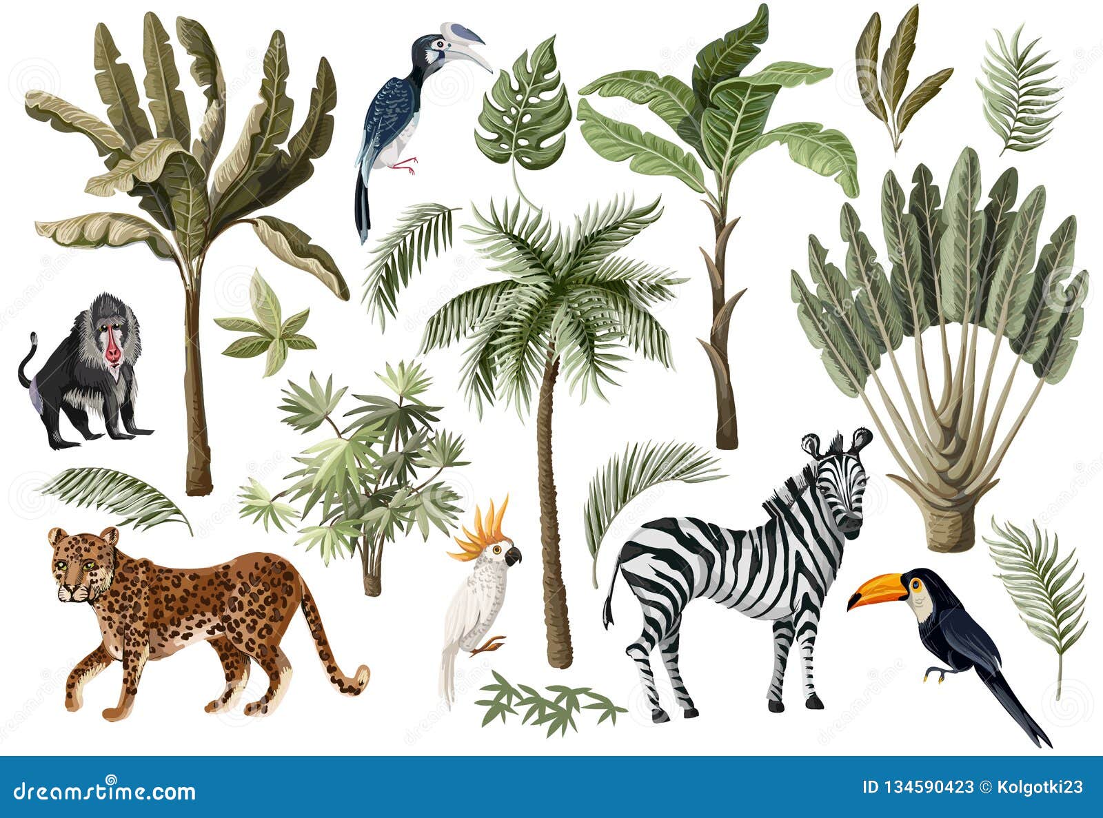 Tropical Tree Elements Such As Palm, Banana and Jungle Animals Isolated ...