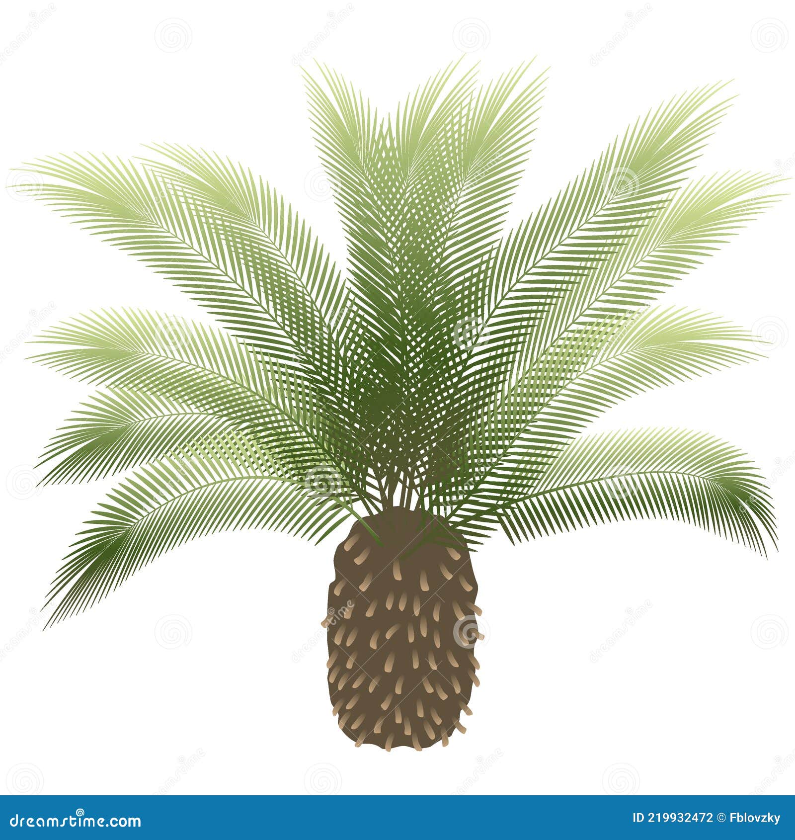 Tropical Tree Isolated on White Stock Vector - Illustration of trunk ...