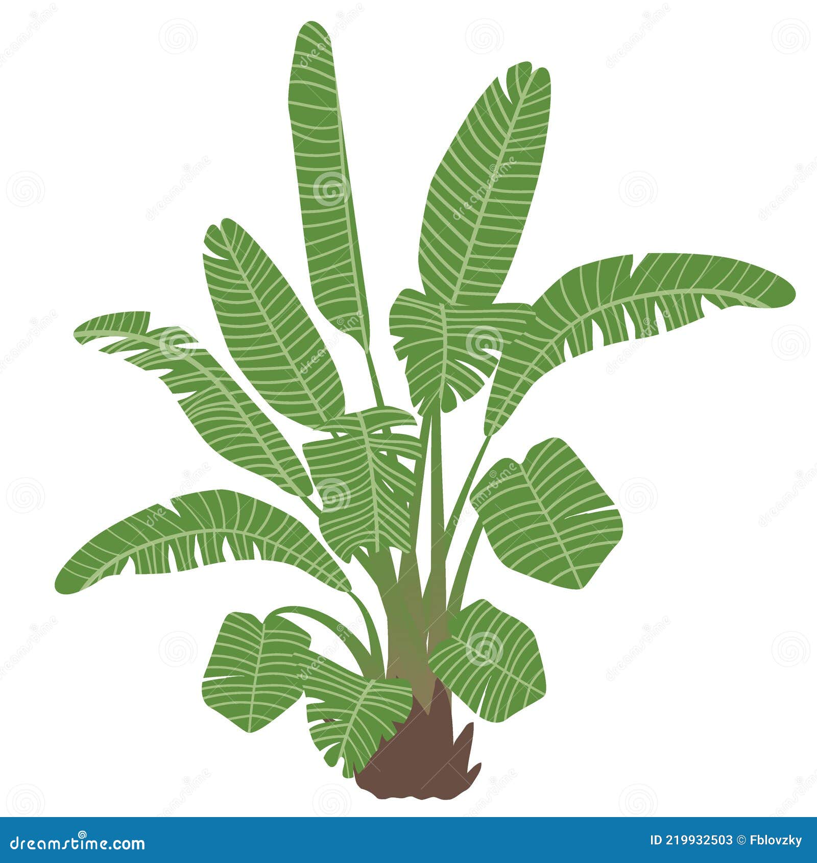 Tropical Tree Isolated on White Stock Vector - Illustration of palm ...