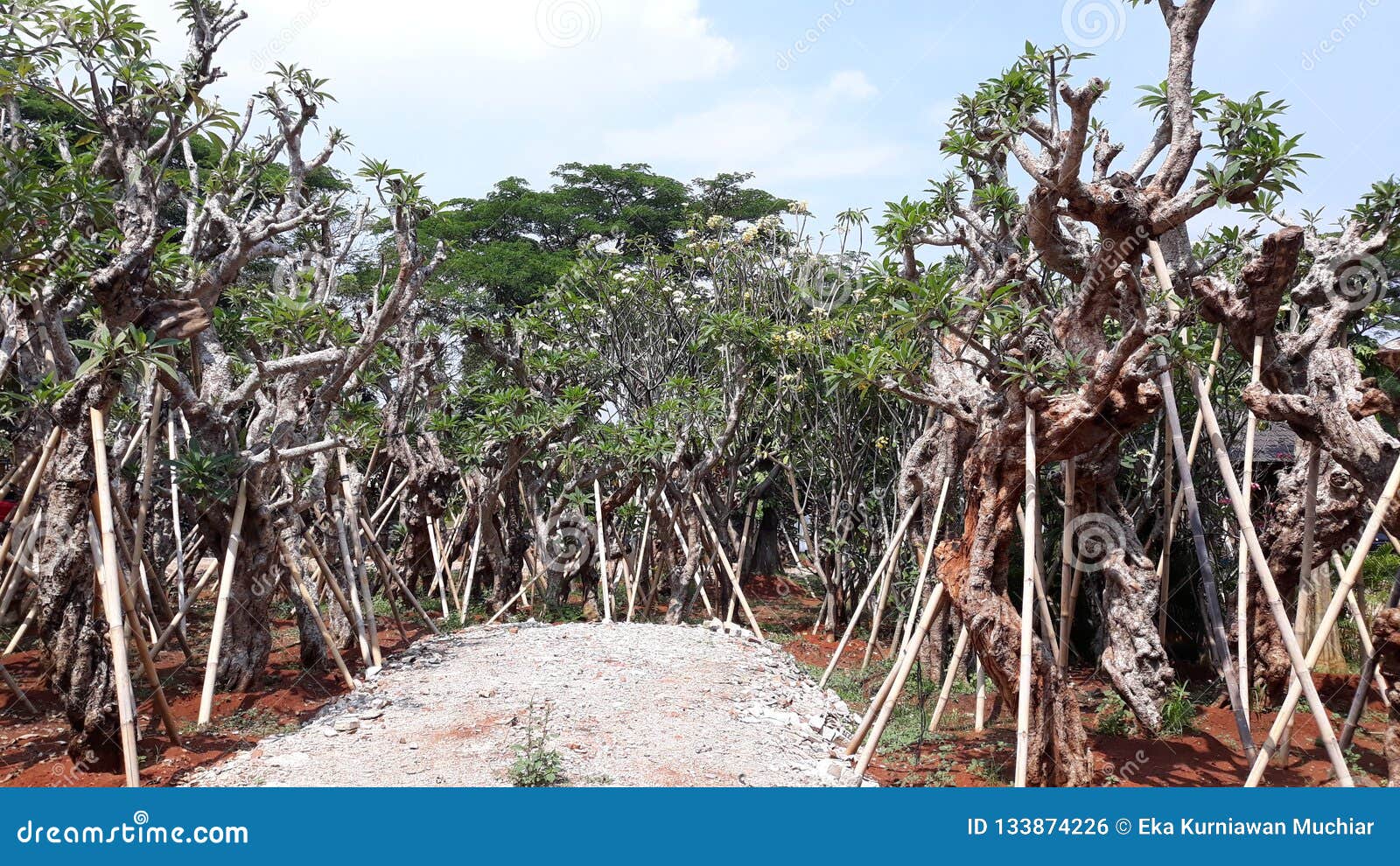 Landscape Jakarta stock photo. Image of jakarta, landscape - 133874226