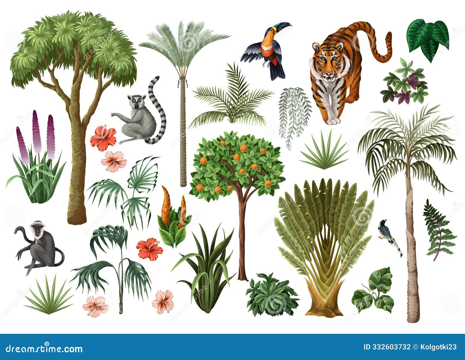 Tropical Trees, Animals, Flowers and Birds Isolated. Vector. Stock ...
