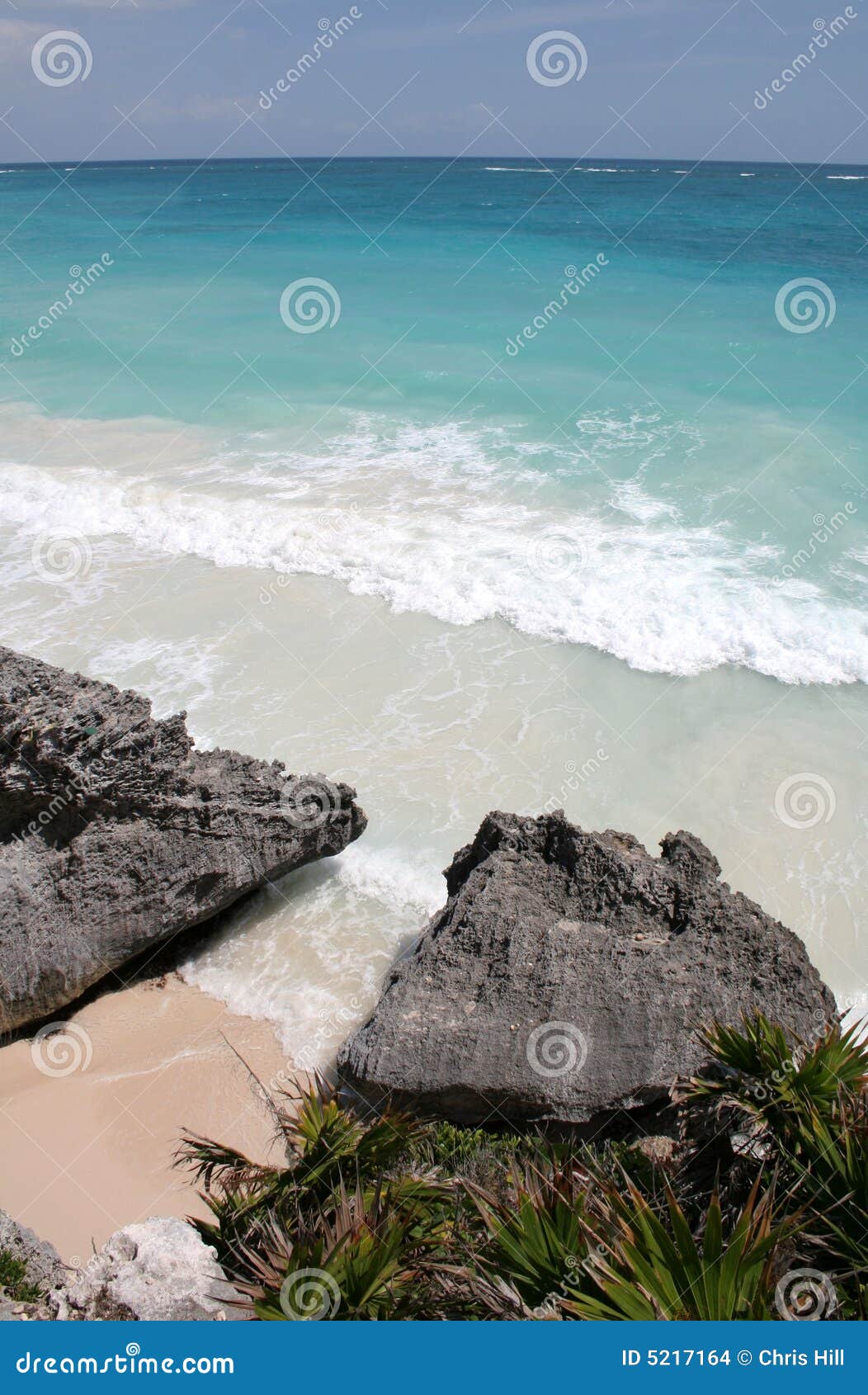 Tropical Turquoise Beach stock photo. Image of copyspace - 5217164