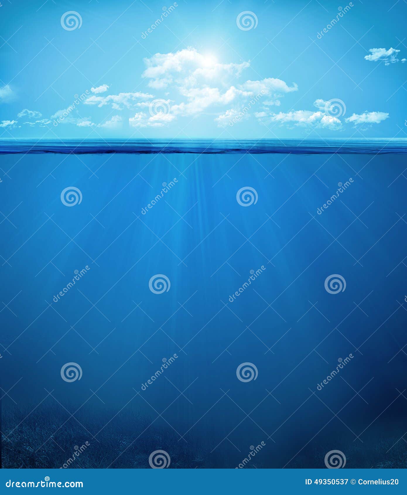 Underwater Scene. / Underwater Photography Of Fish Being Swimming And ...