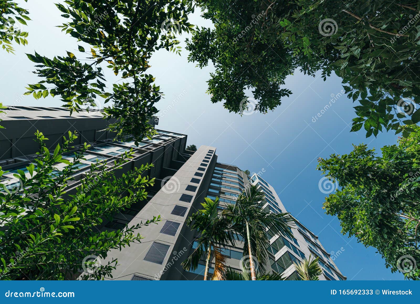 Tropical Urban View Skyscraper Stock Image - Image of living, urban ...