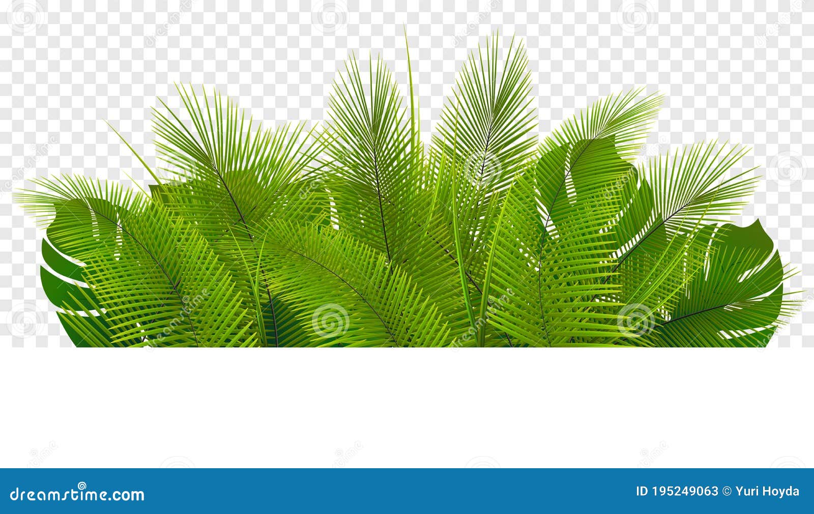 Tropical Vegetation. Green Leaf Pile Isolated on Transparent Background ...