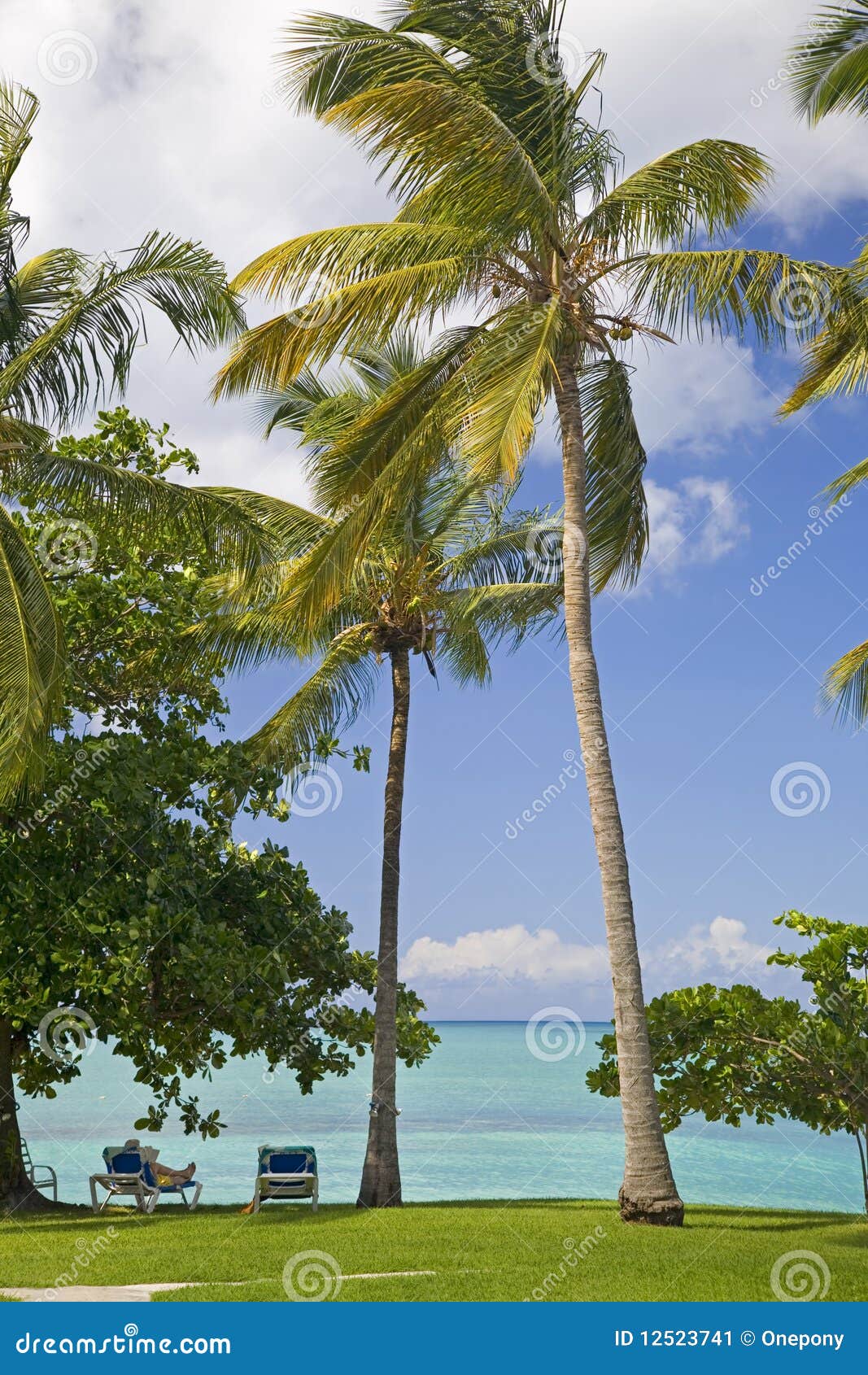 Tropical View stock image. Image of clouds, horizon, bright - 12523741