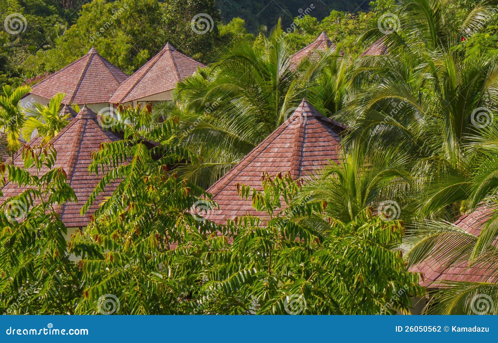 Tropical Villa Roof stock photo. Image of beach, outdoor - 26050562