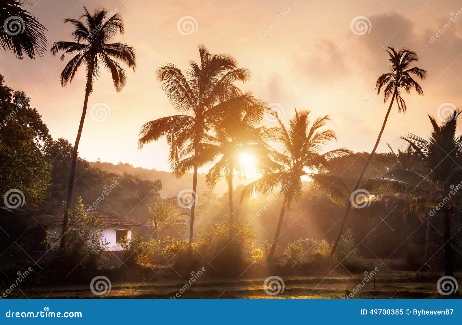 Tropical village in Goa stock image. Image of bush, jungle - 49700385