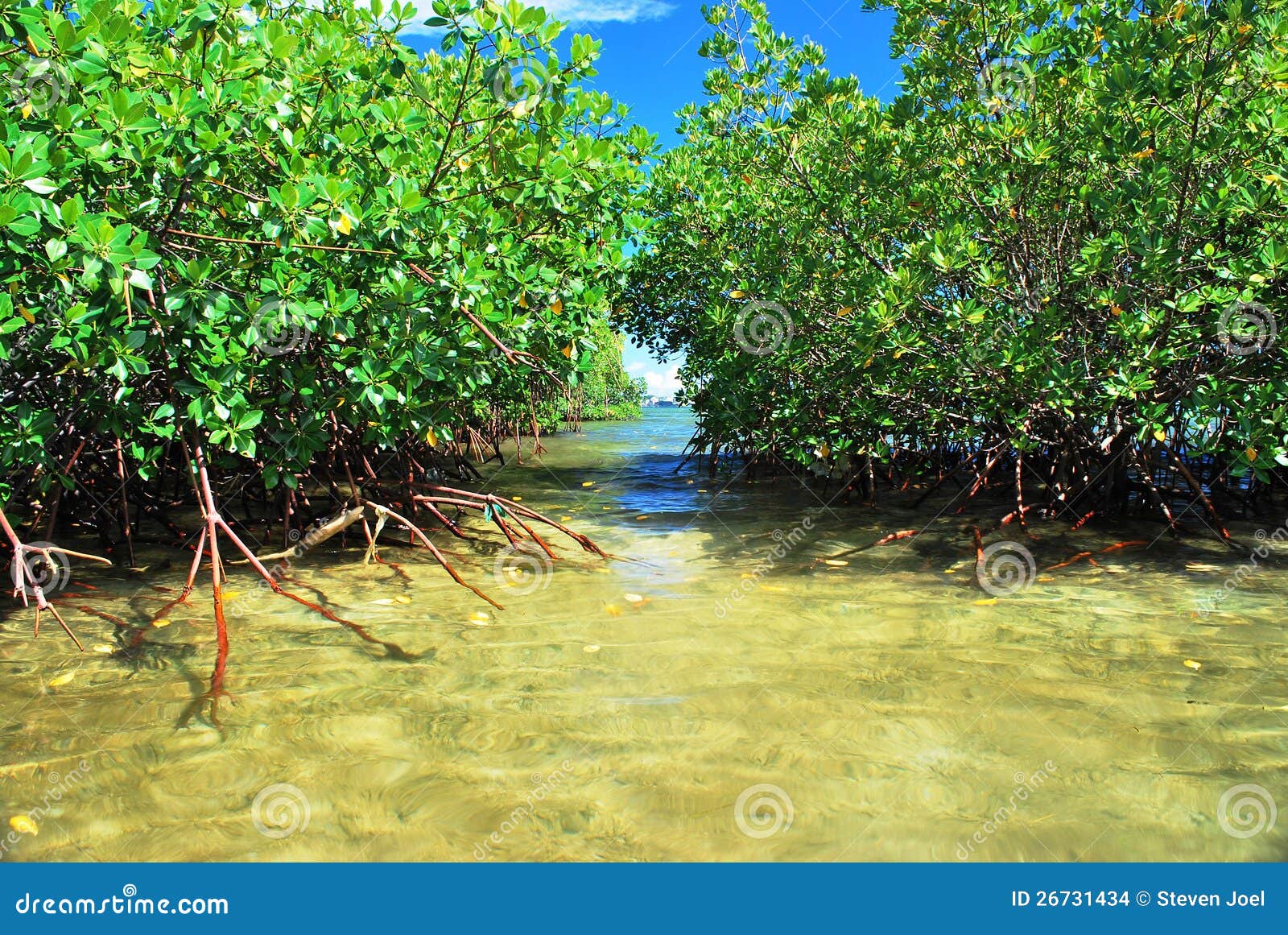 Tropical Water stock photo. Image of hawaii, islanders - 26731434