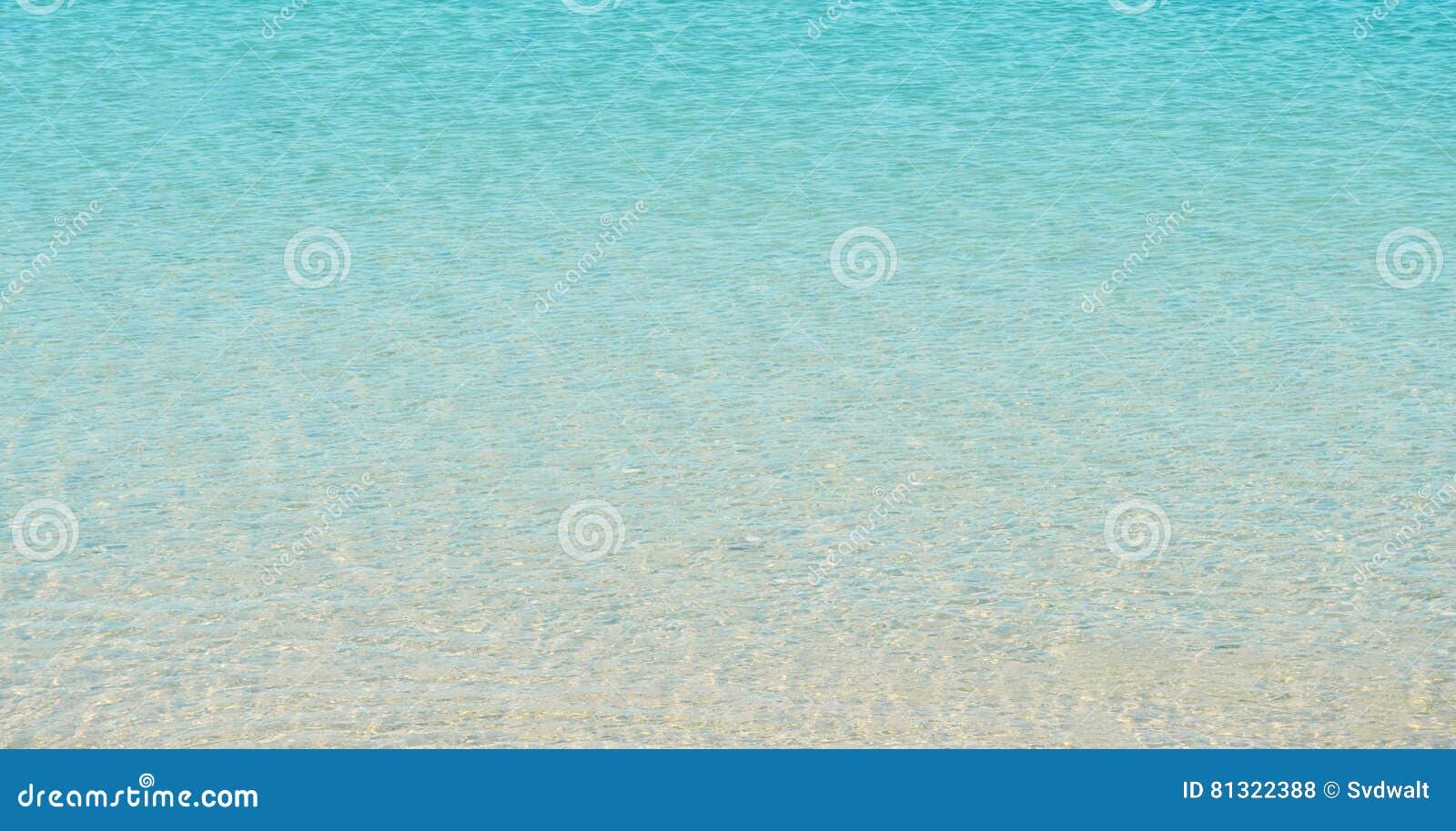 Tropical water stock photo. Image of water, blue, beach - 81322388