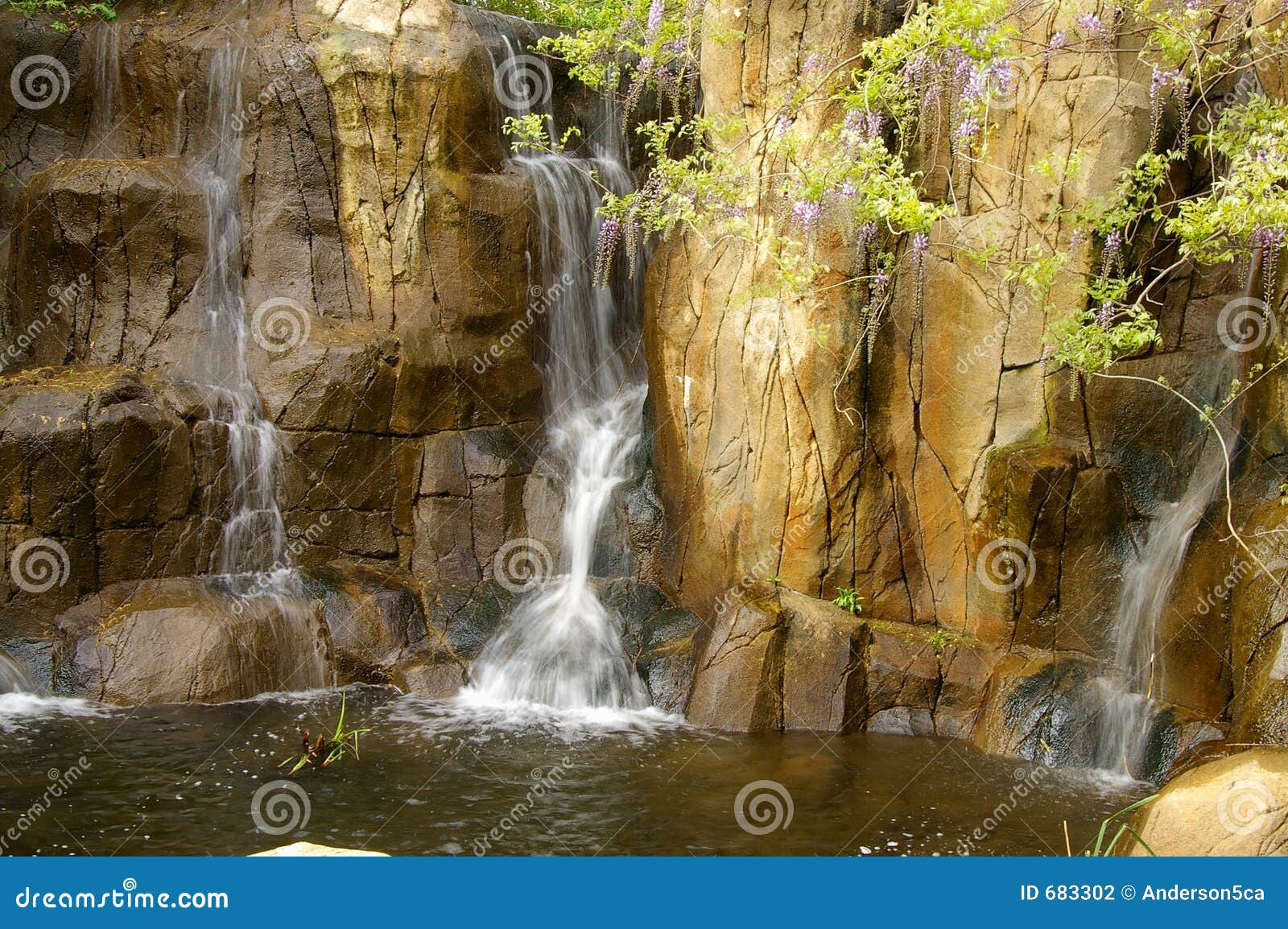 Tropical Waterfall stock photo. Image of water, vines, streams - 683302