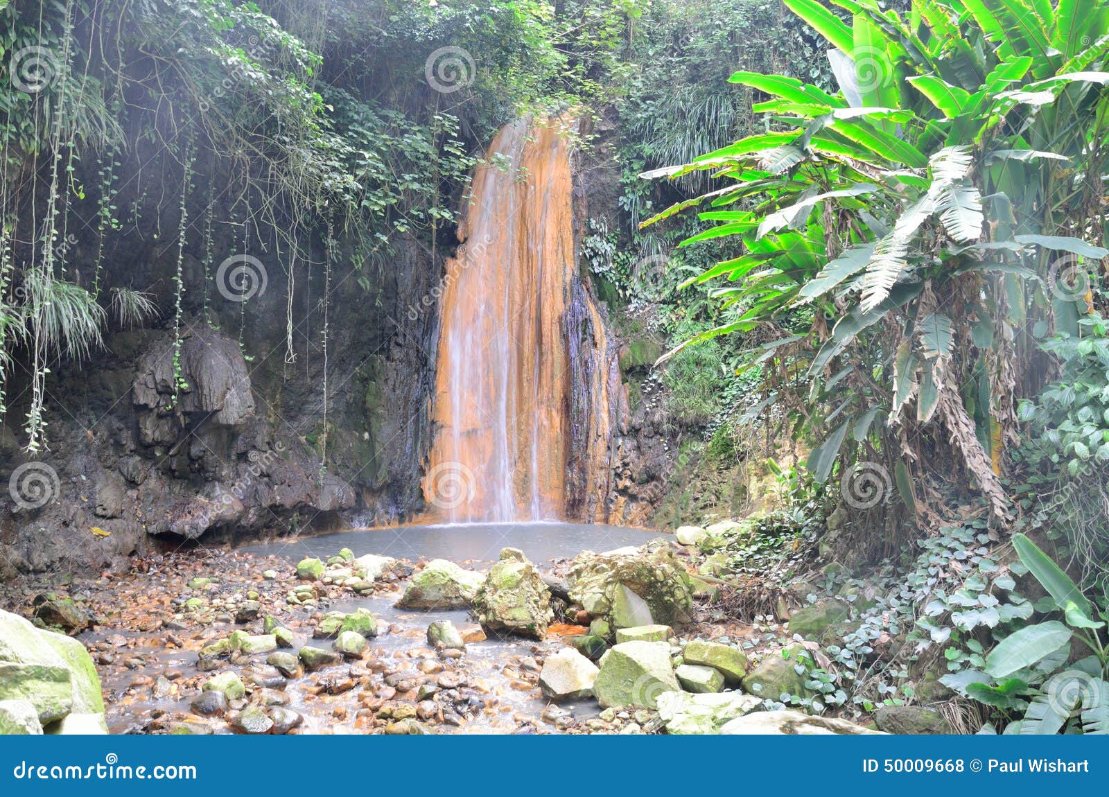 Tropical Waterfall in Forest Stock Photo - Image of light, rainforest ...