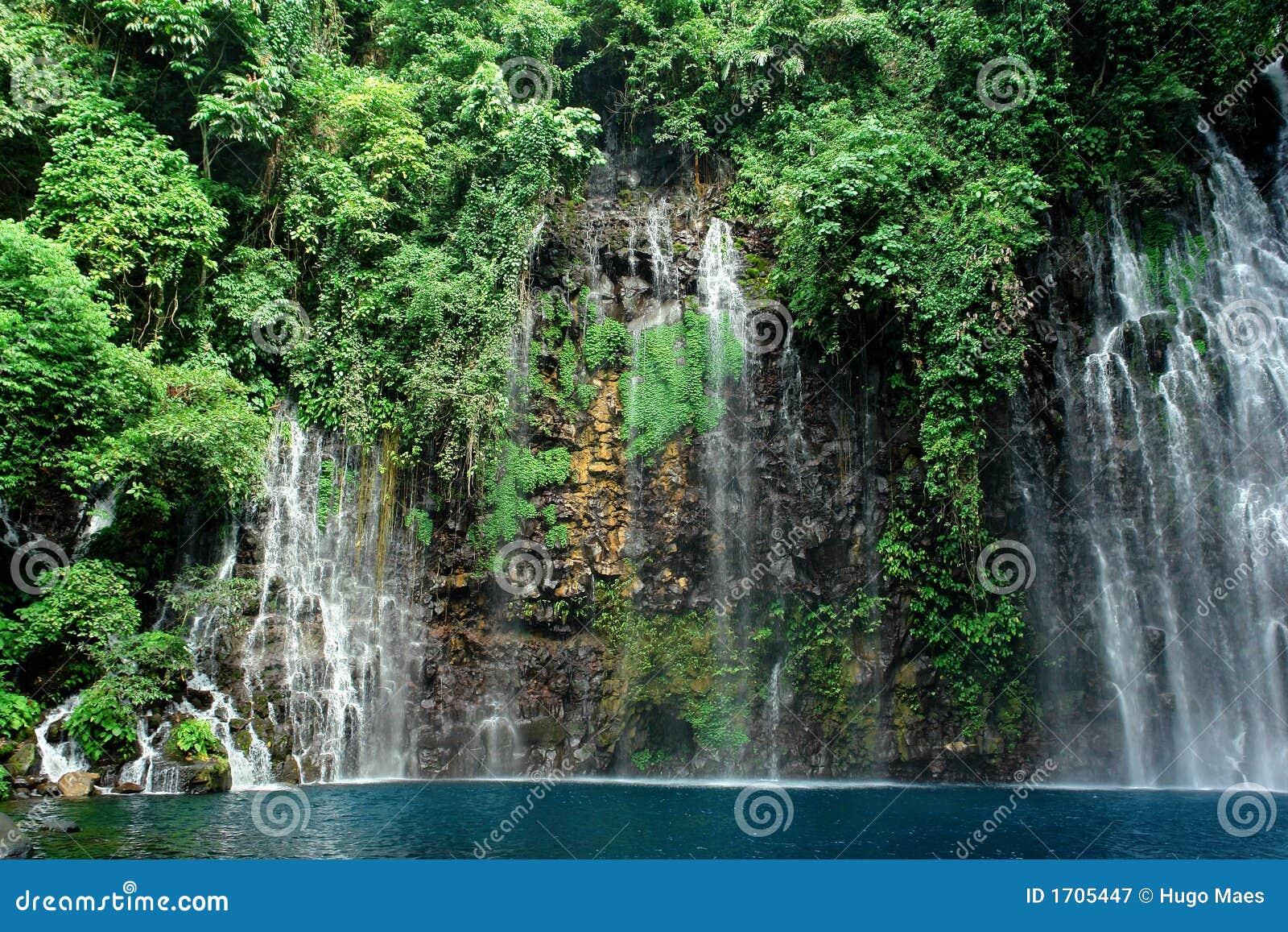 Tropical Waterfall in Jungle Stock Image - Image of gush, jungle: 1705447