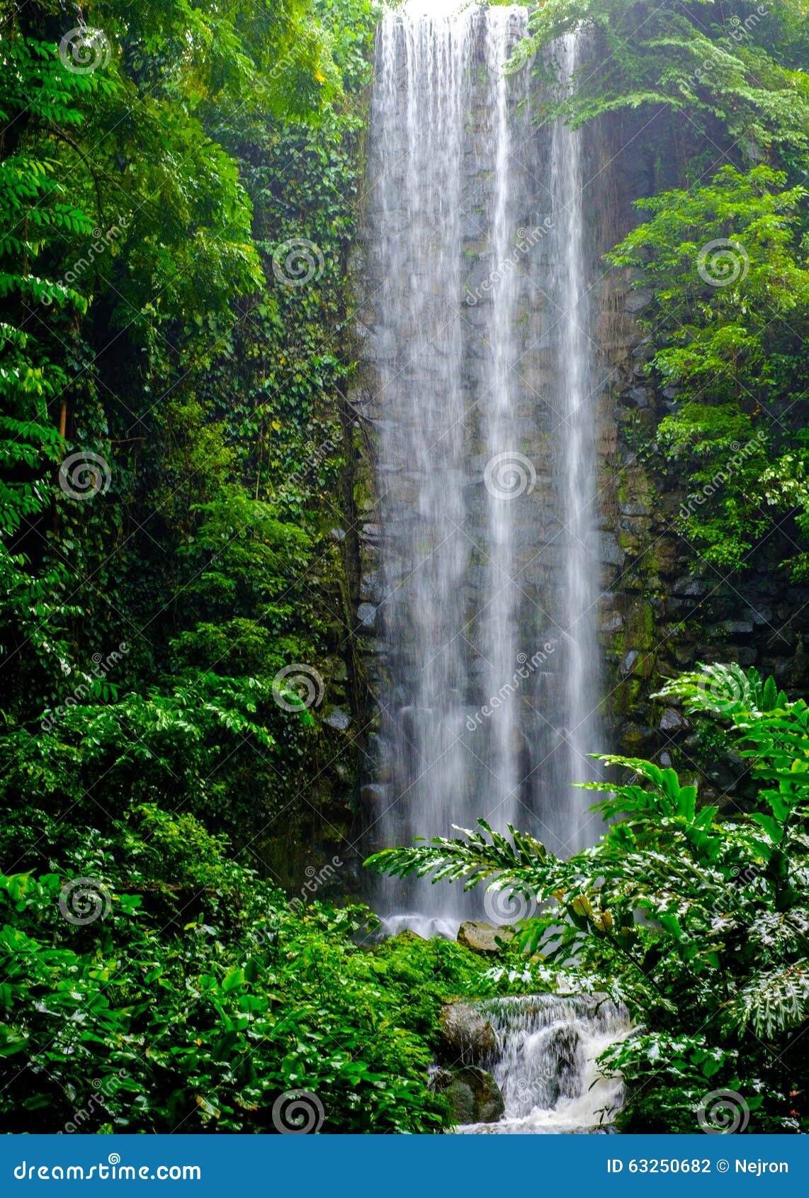 Tropical Waterfall in the Jungle Stock Photo - Image of fall, natural ...