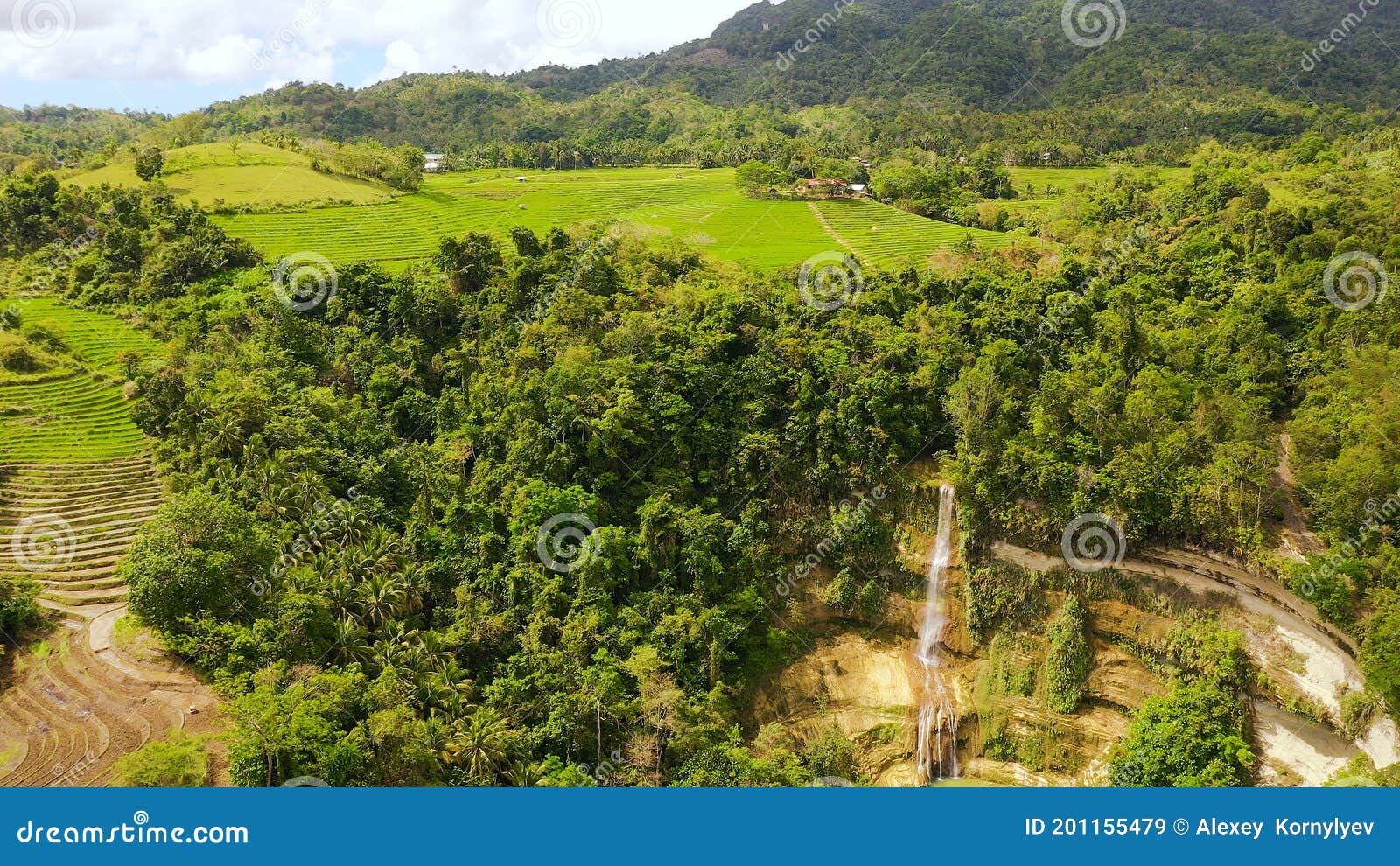 Waterfall and Rice Terraces. Bohol, Philippines. Stock Image - Image of ...