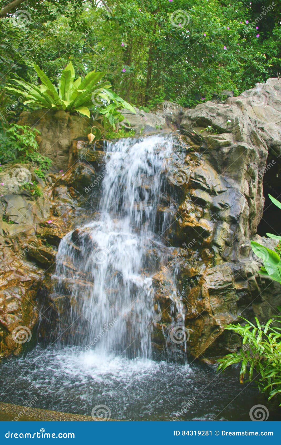 A Tropical Waterful in a Singapore Stock Image - Image of asia ...