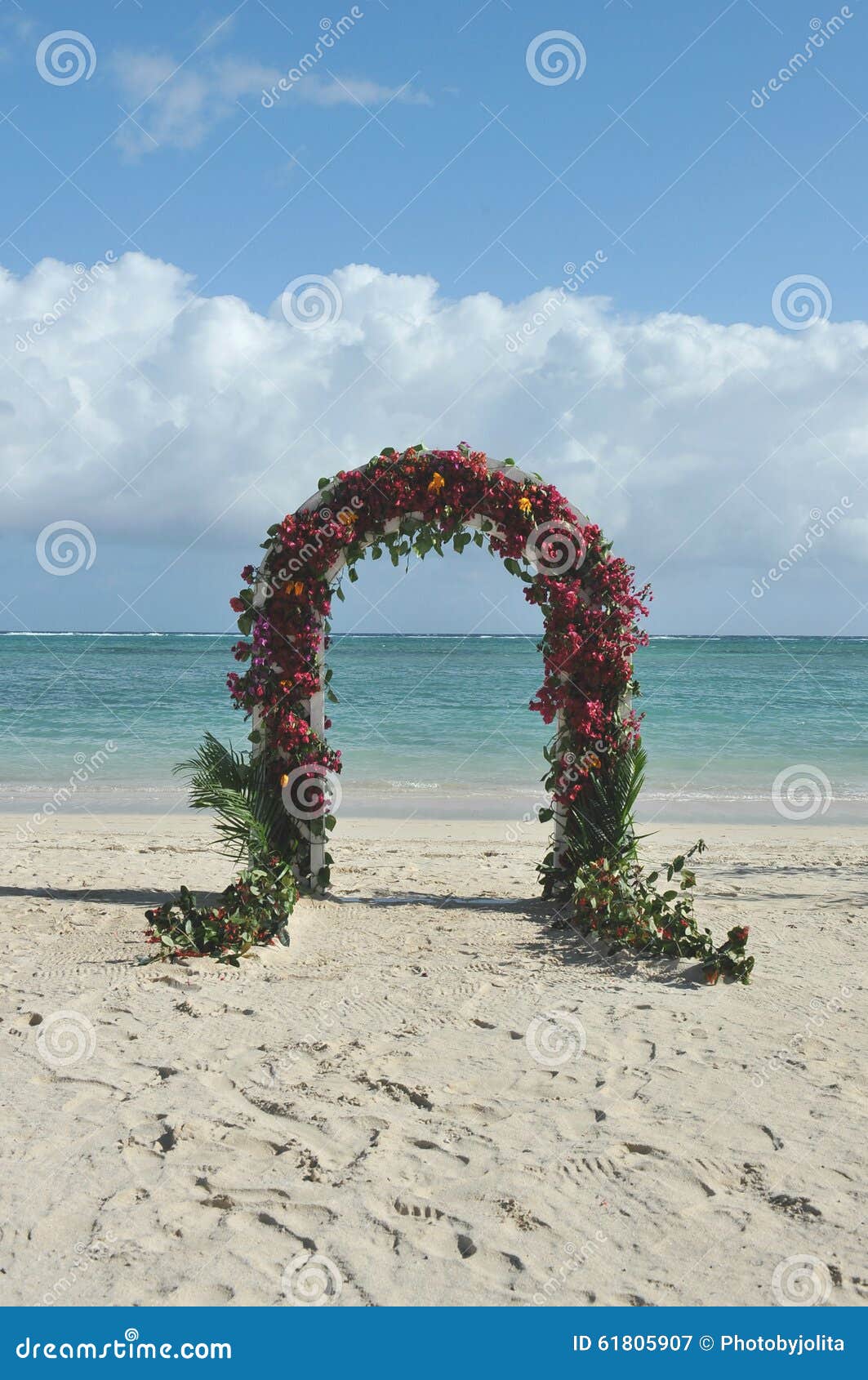 Tropical wedding arc stock image. Image of holidays, people - 61805907