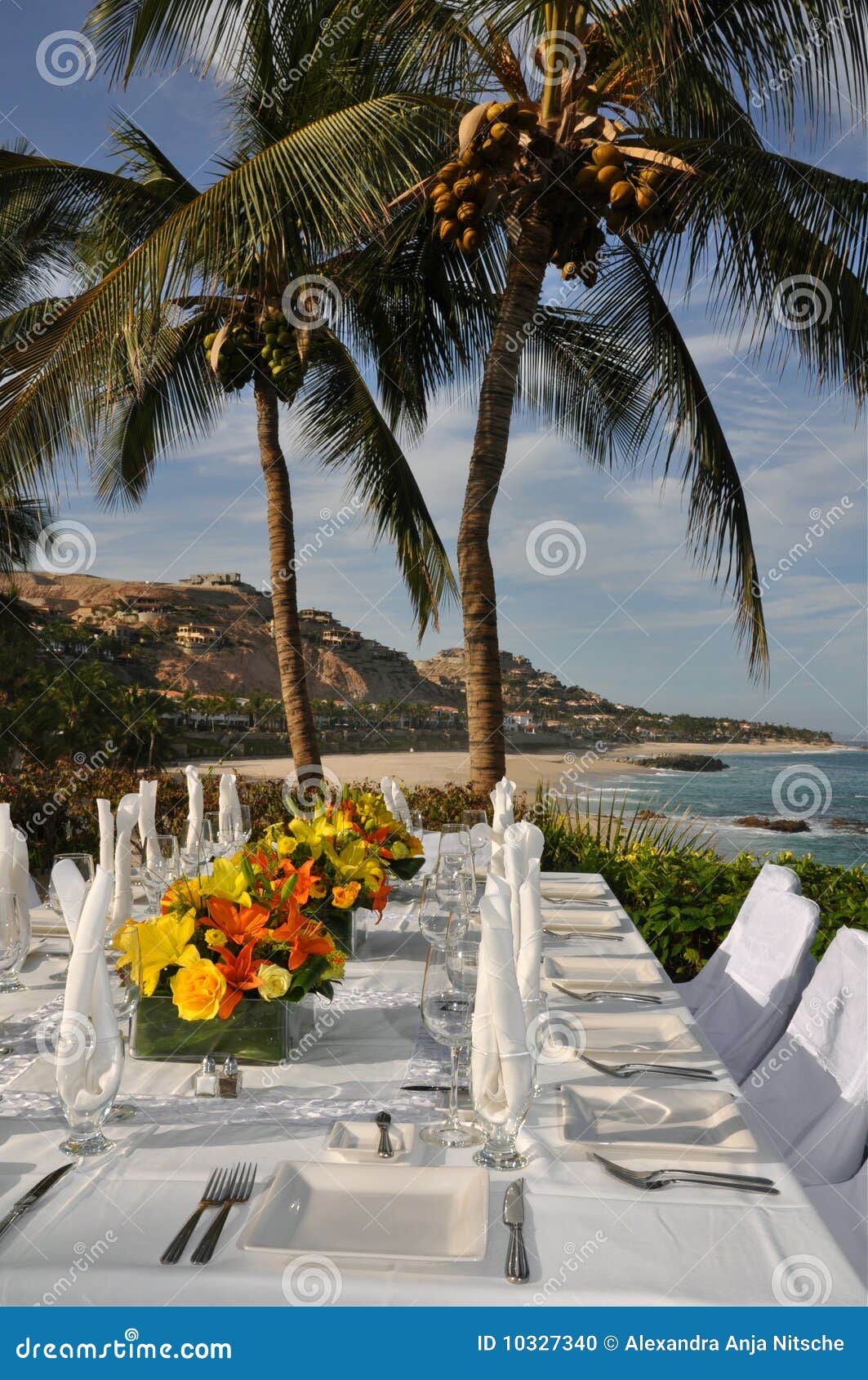 Tropical Wedding Table Setting Los Cabos Stock Photo - Image of trees ...