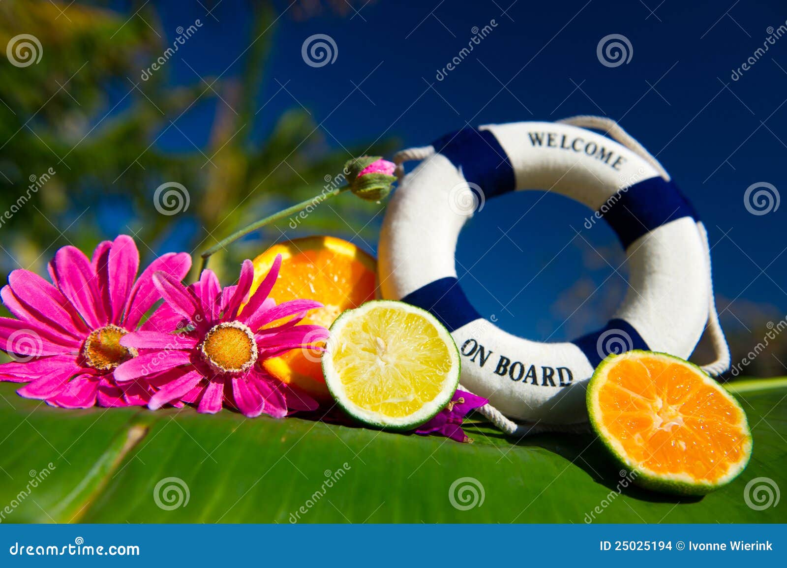Tropical welcome on board stock photo. Image of bananas - 25025194