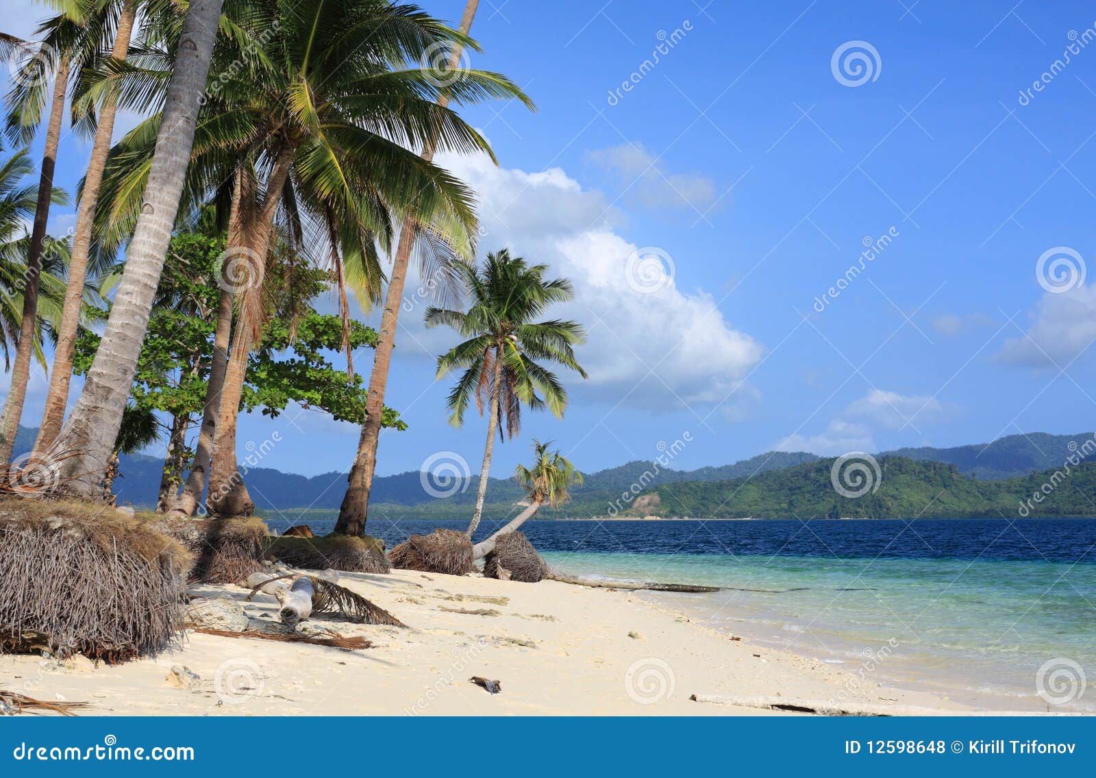Tropical white sand beach stock photo. Image of coconut - 12598648