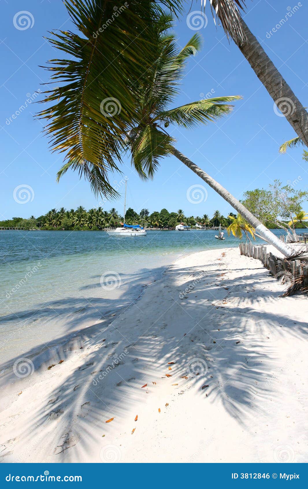 Tropical White Sand Beach stock photo. Image of remote - 3812846