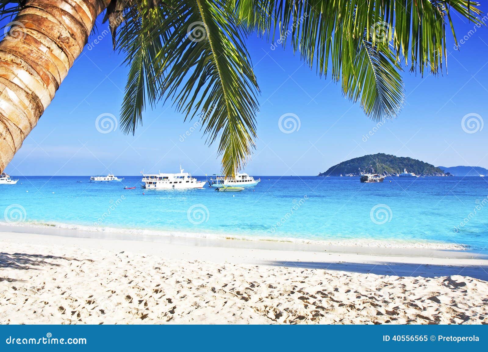 Tropical white sand beach stock image. Image of shore - 40556565