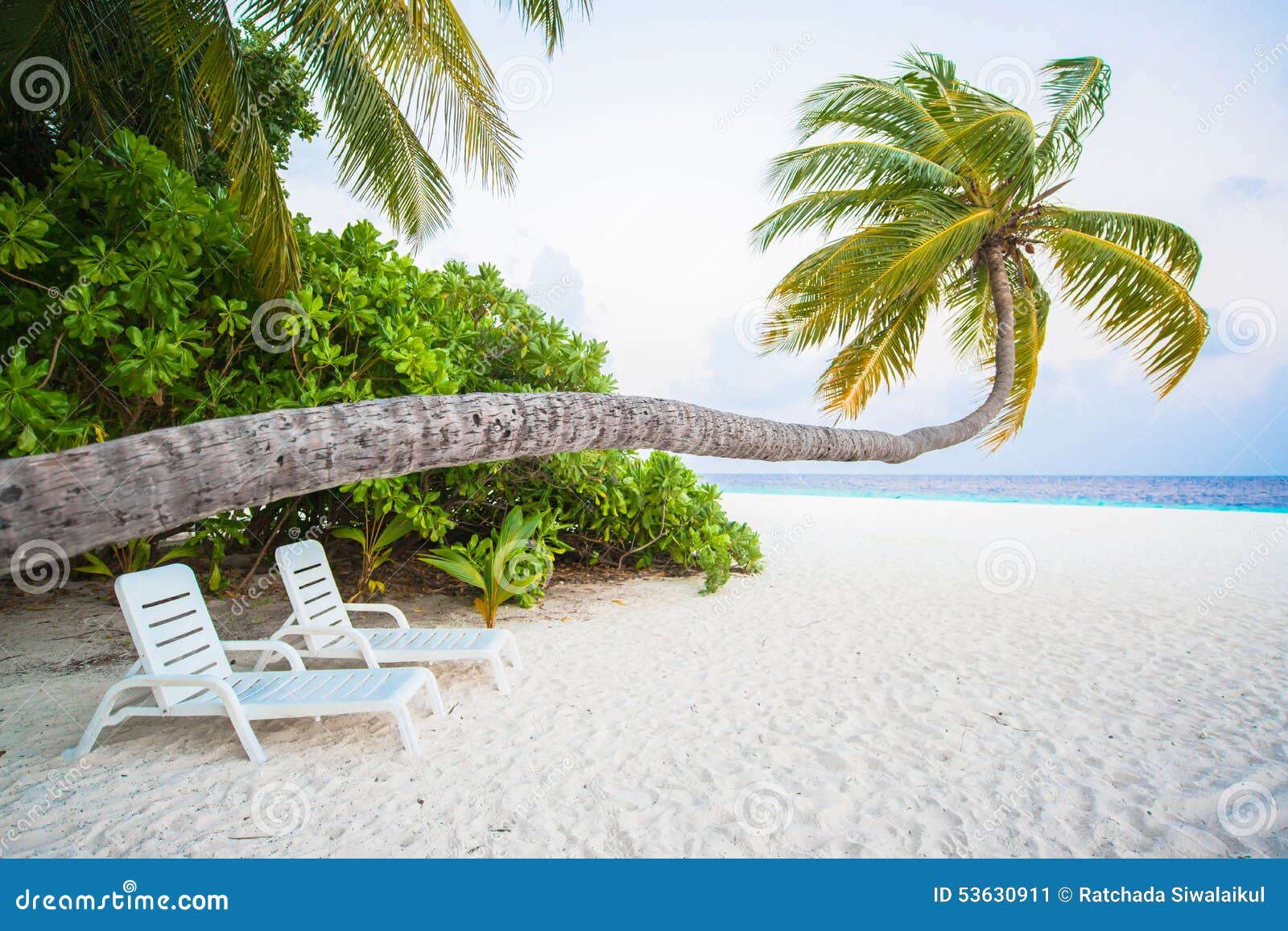 Tropical White Sand Beach with Palm Trees Stock Image - Image of island ...