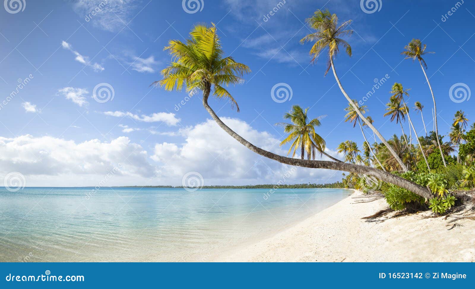 Tropical White Sand Beach Panoramic View Stock Photo - Image of ...