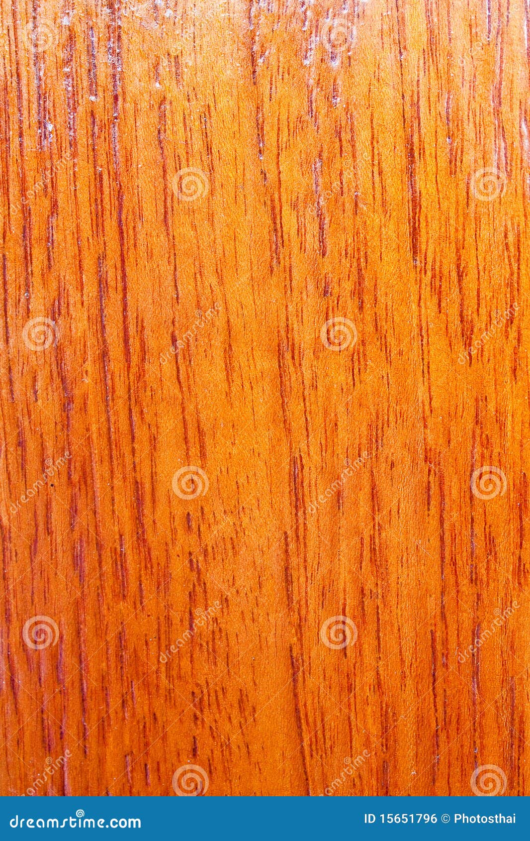 Tropical wood texture stock photo. Image of parquet, natural - 15651796