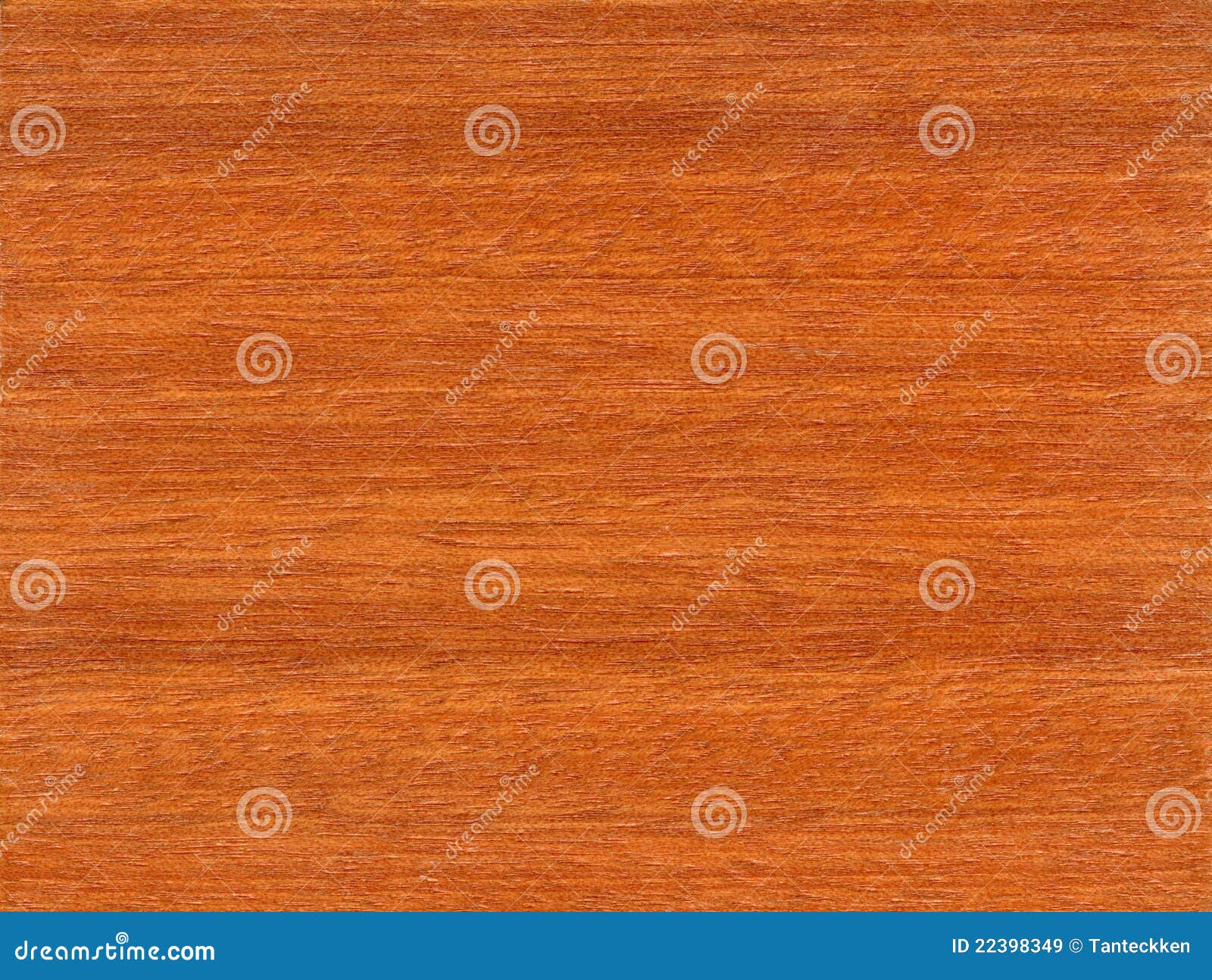 Tropical Wood Textures stock image. Image of walnut, table - 22398349