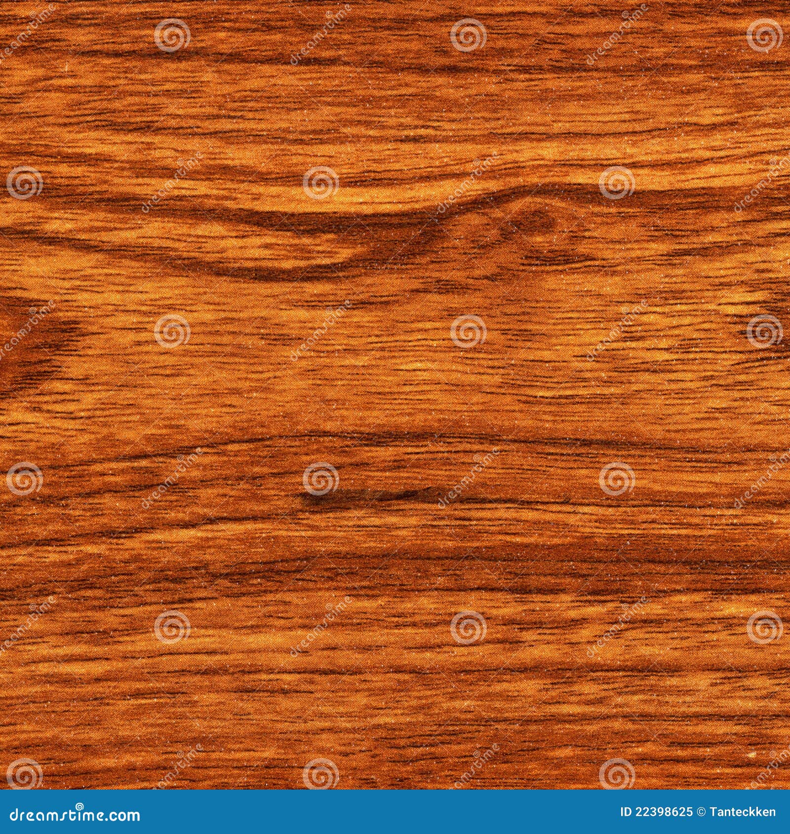Tropical Wood Textures stock image. Image of backgrounds - 22398625