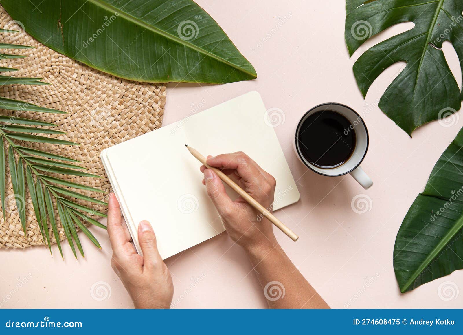 Tropical Workspace Concept. Notepad and Tropical Palm Leaves. Mockup ...