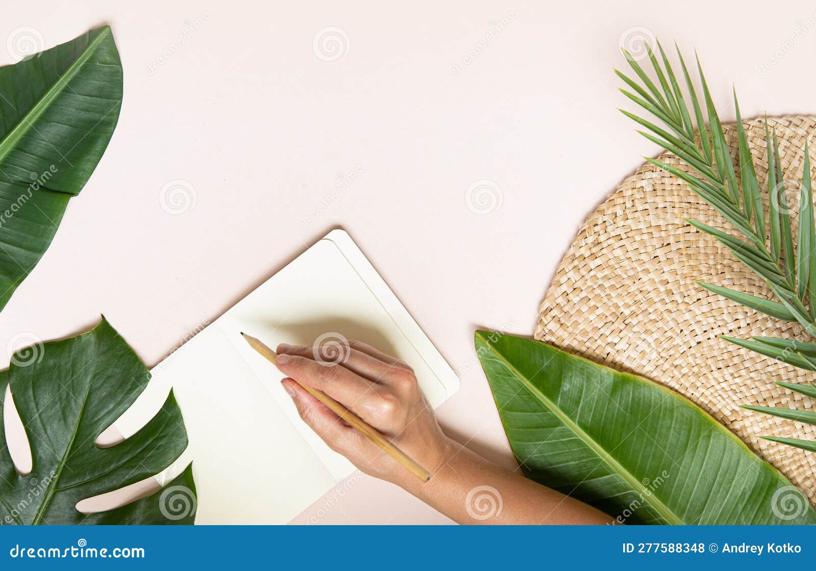 Tropical Workspace Concept. Notepad and Tropical Palm Leaves. Mockup ...