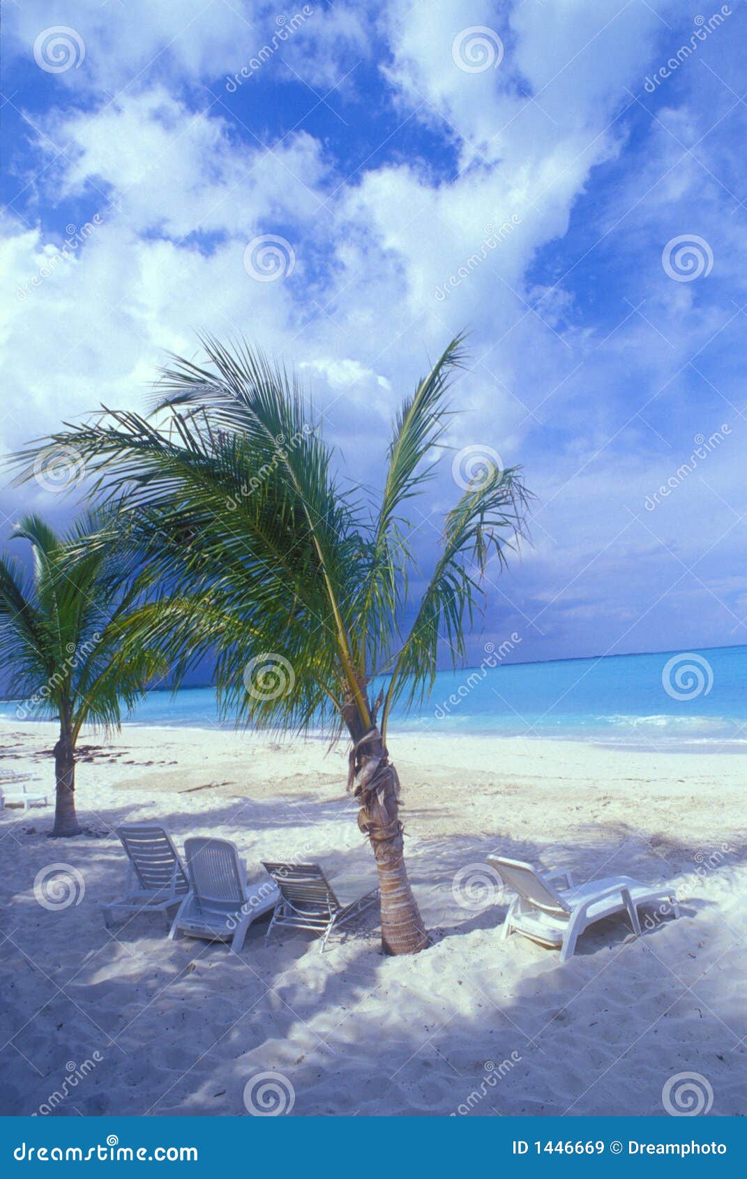 Tropics 04 de Bahamas imagem de stock. Imagem de lagoa - 1446669