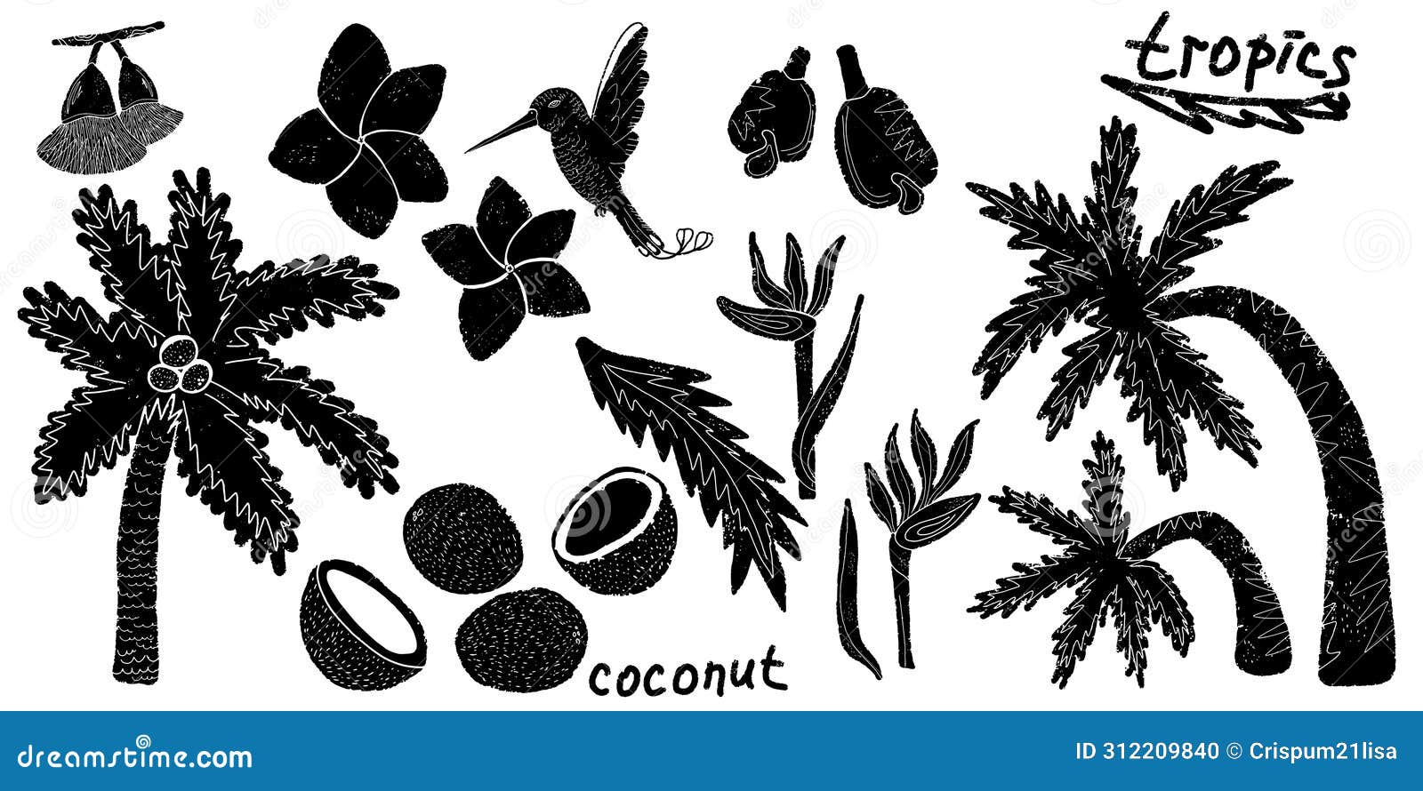 Tropics. Exotic, Vector Grainy Set of Textural Black Elements for ...