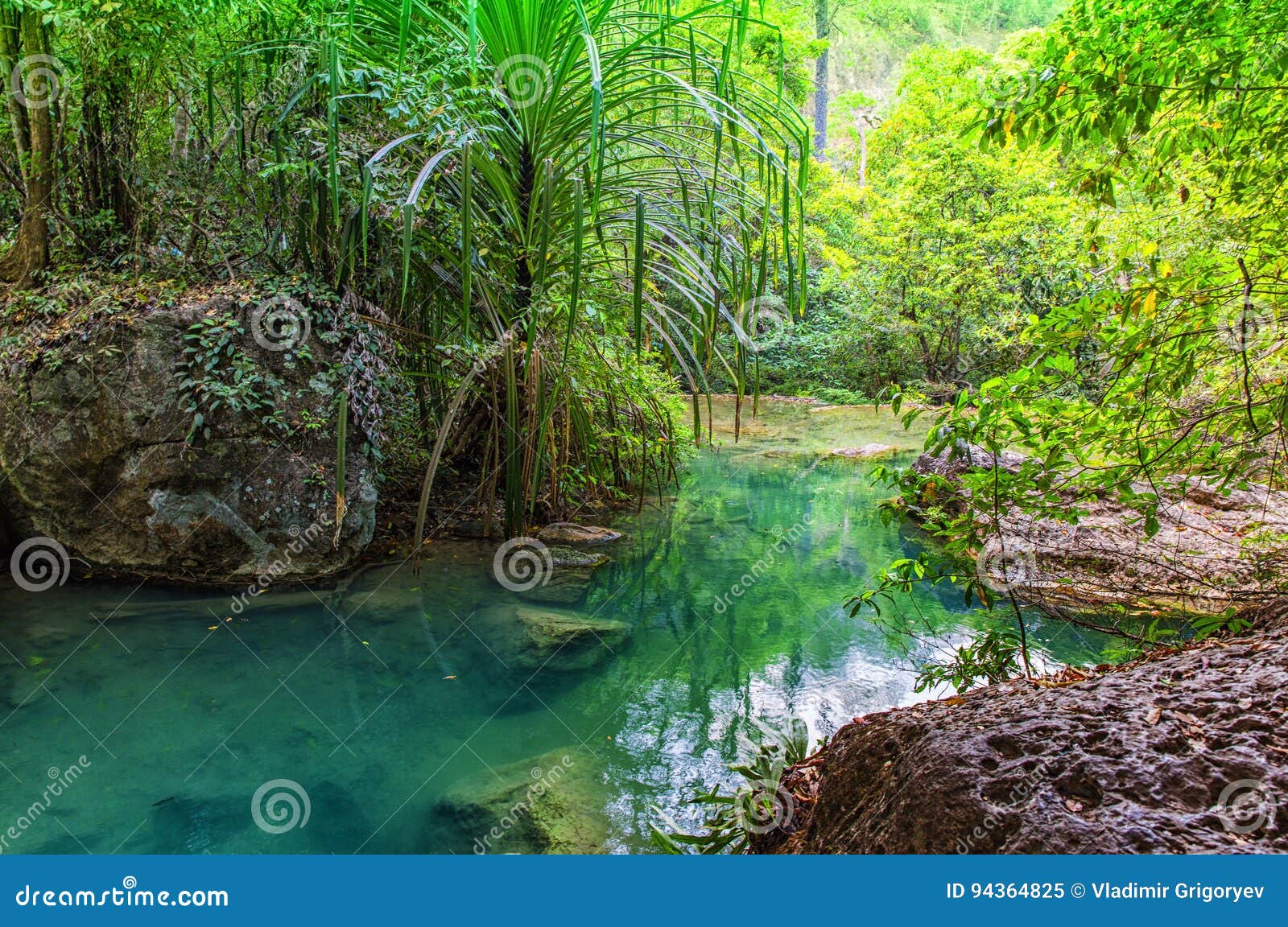 Tropics stock image. Image of landscape, tropics, humid - 94364825