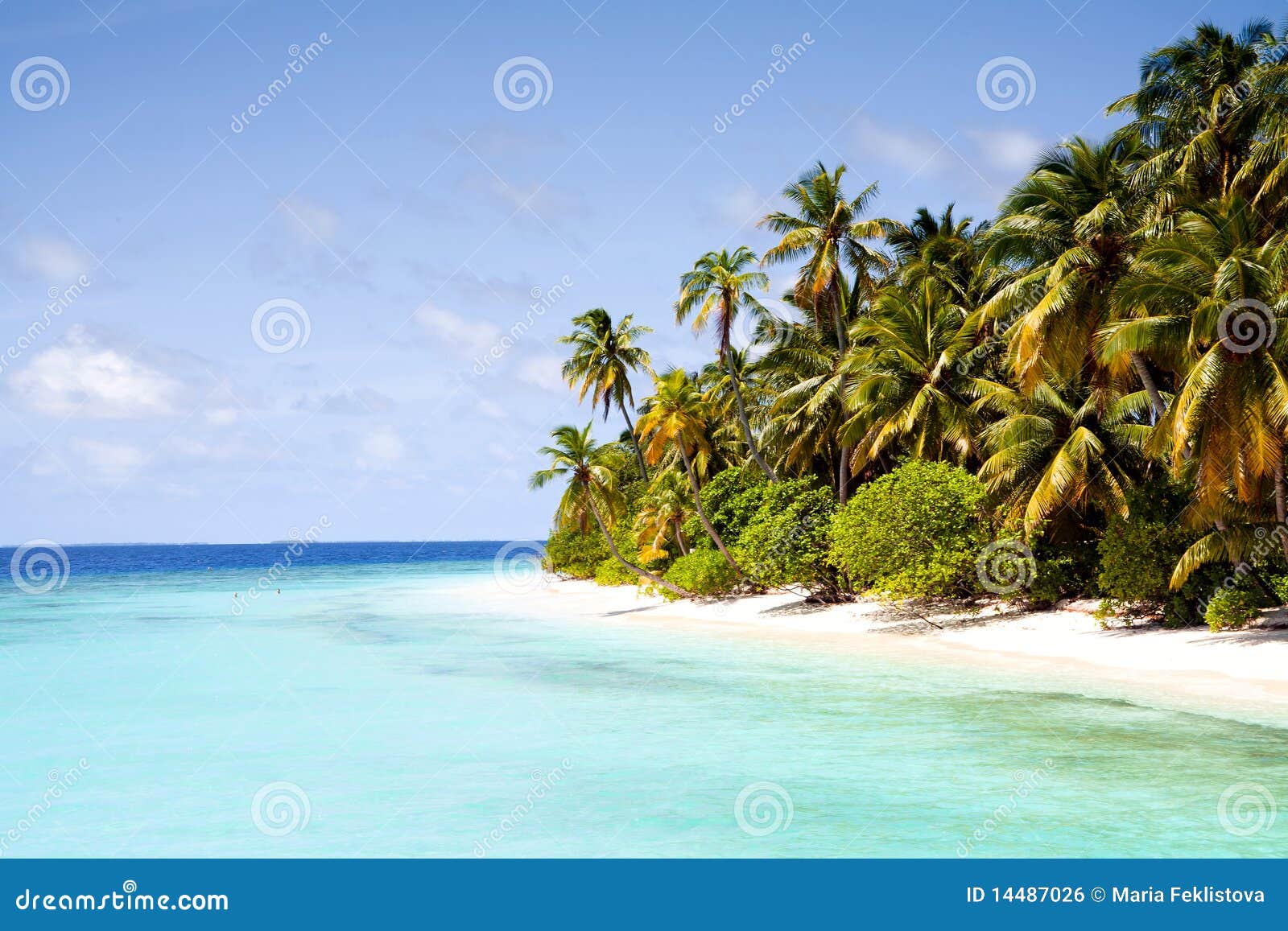 Tropisch eiland stock foto. Image of ontspanning, boom - 14487026